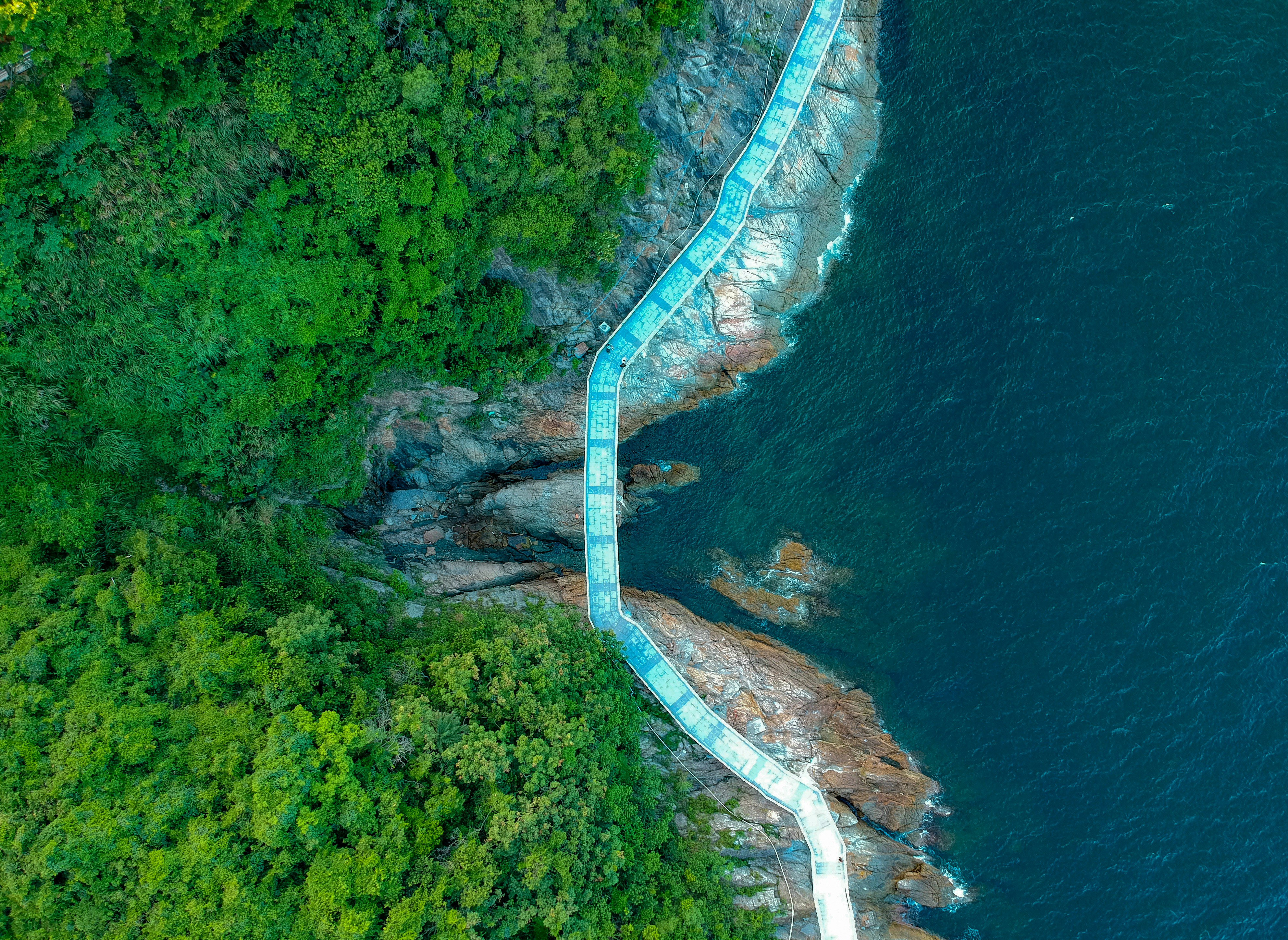Aerial view of a winding path along a lush green cliffside beside a vast body of water.