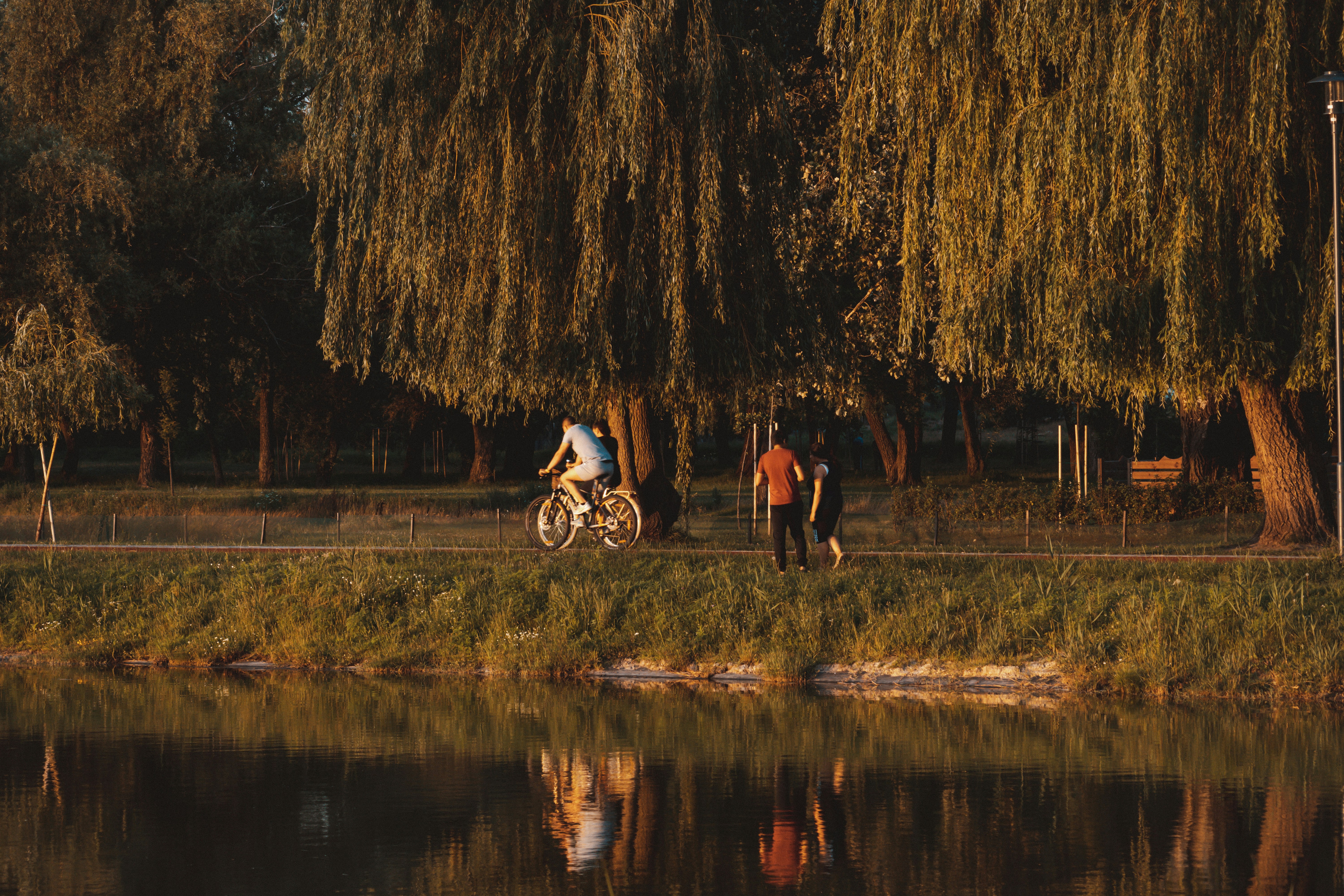 Evening Quiet by the Riverside Path