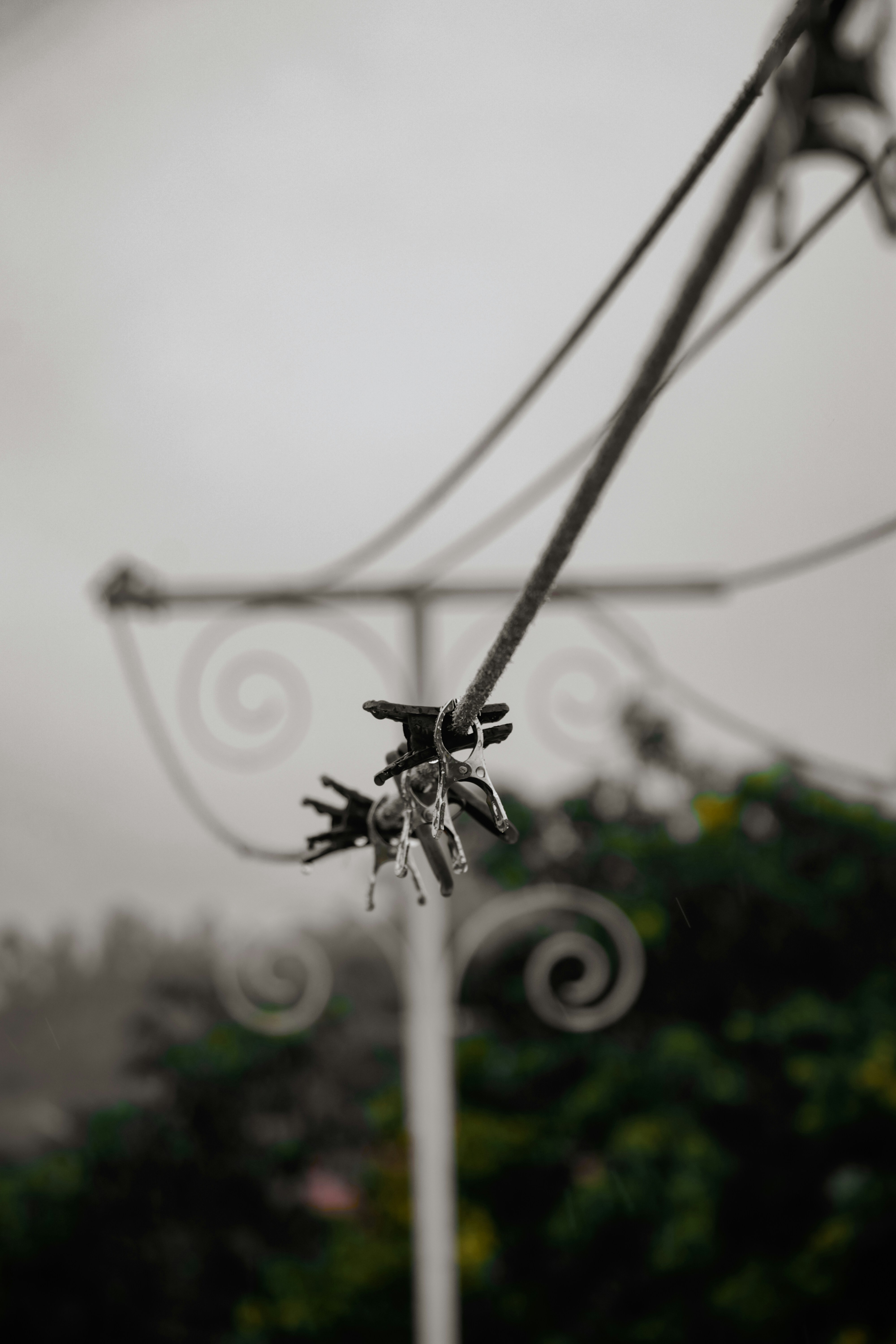 Hanging On: A Distant Drape of Wires and Lace