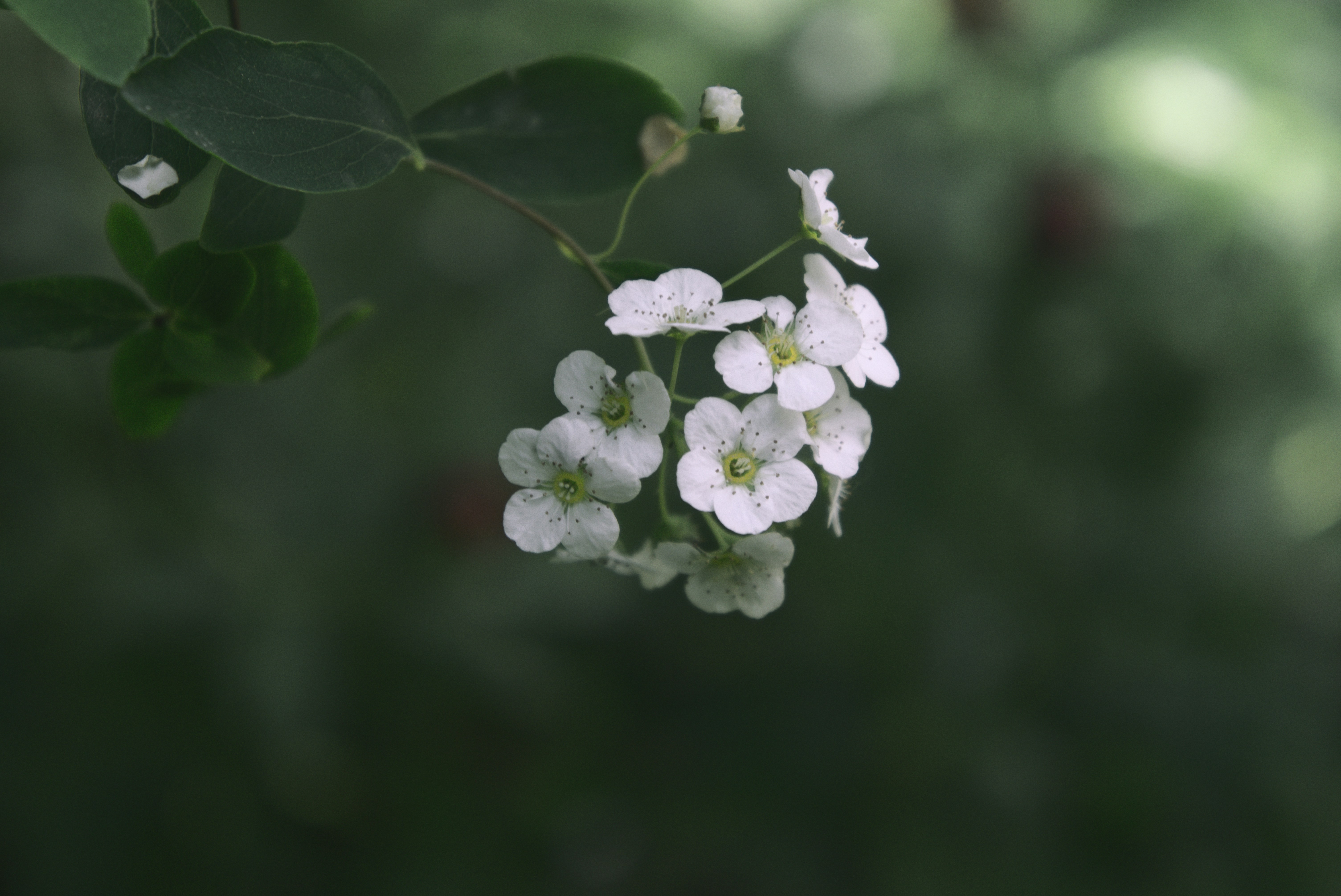 Blanco Cmyk Pictures | Download Free Images on Unsplash