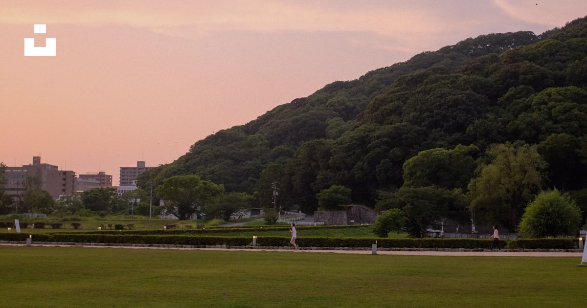 낮에는 하얀 하늘 아래 푸른 나무 근처의 푸른 잔디밭 사진 Unsplash의 무료 愛媛県 日本 이미지
