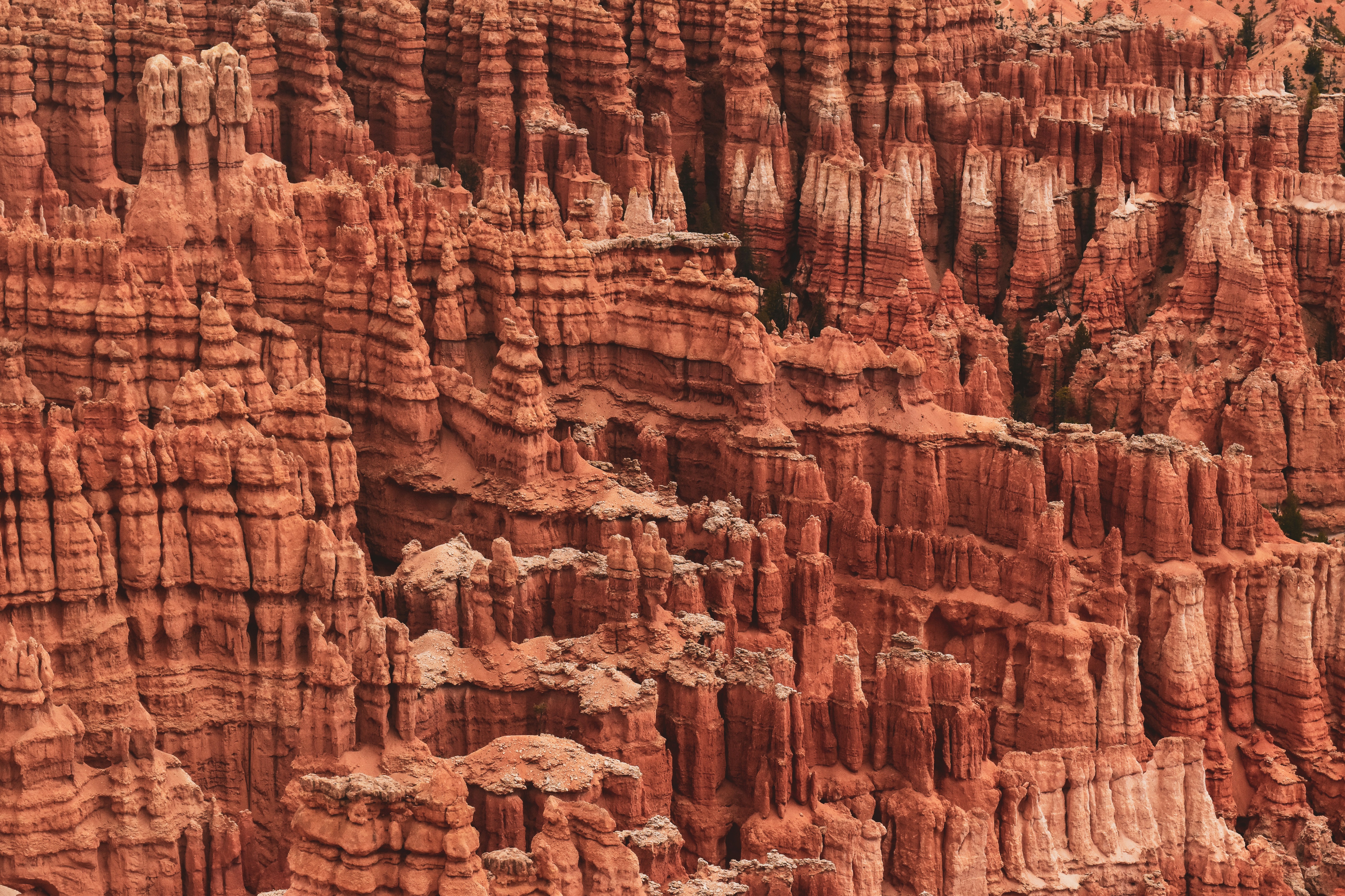 brown rock formation during daytimeChamika Dharmasena