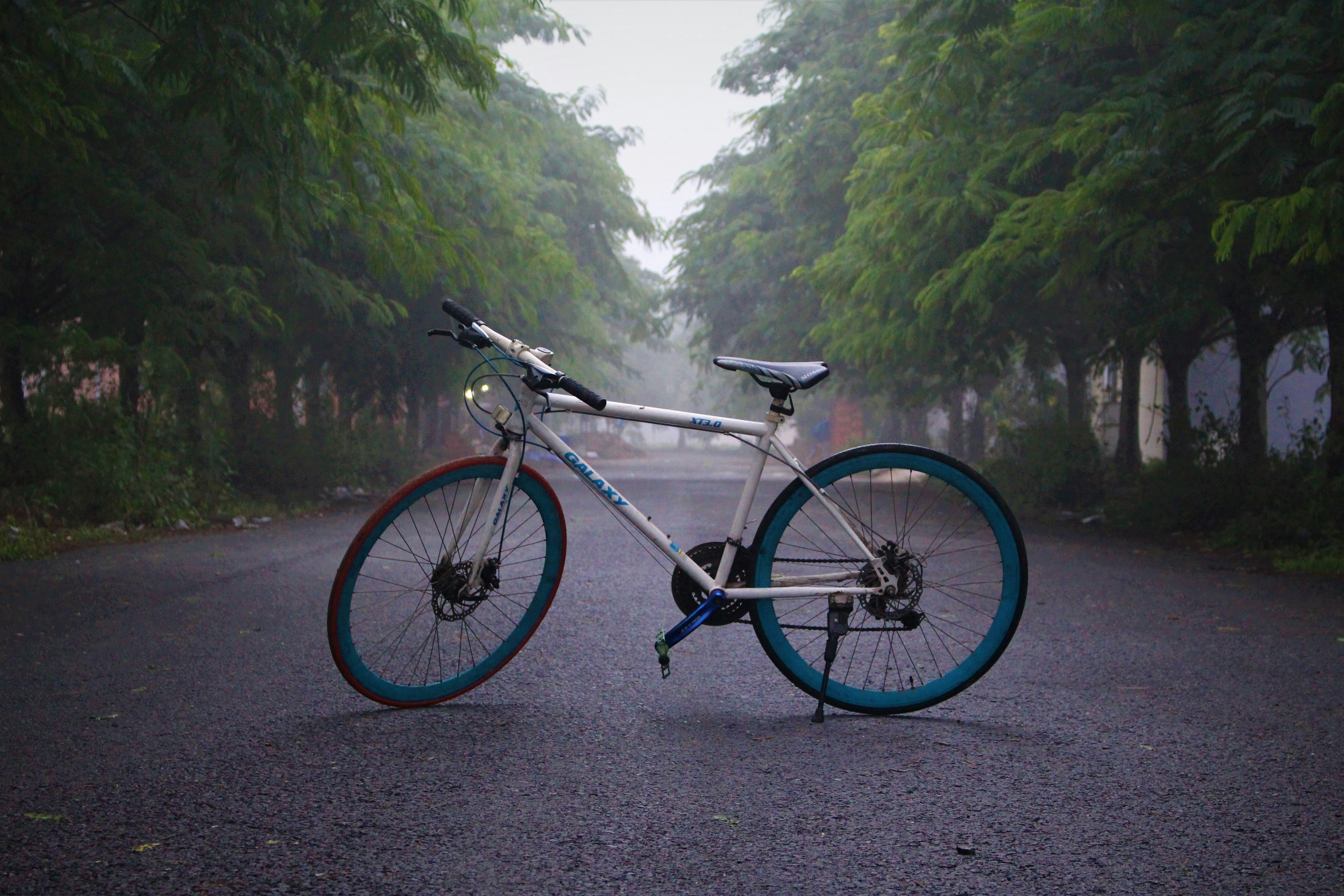 Silver Frame in the Mist: A Bicycle Halts on a Fog-Washed Lane