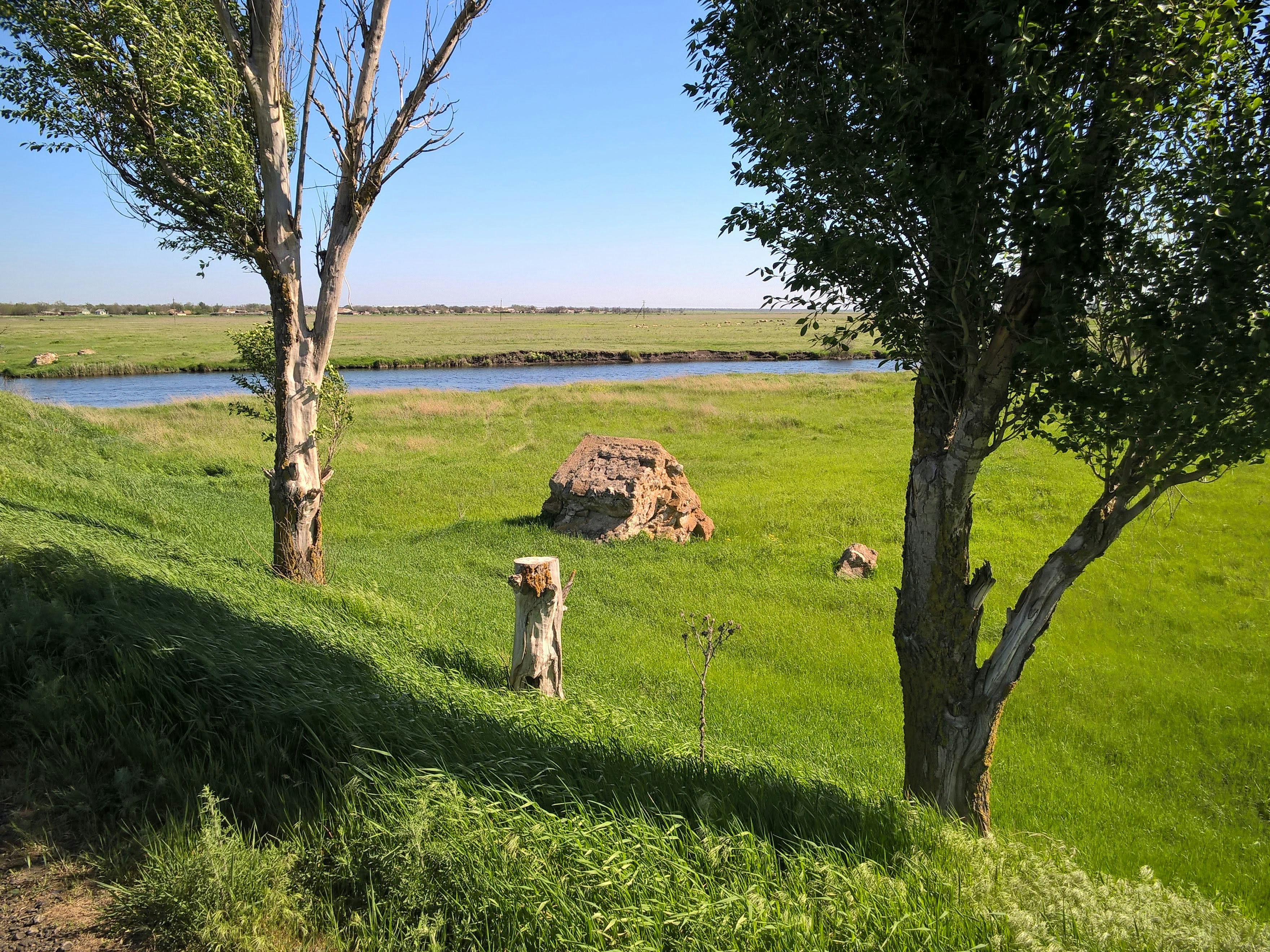 green grass field near body of water during daytime