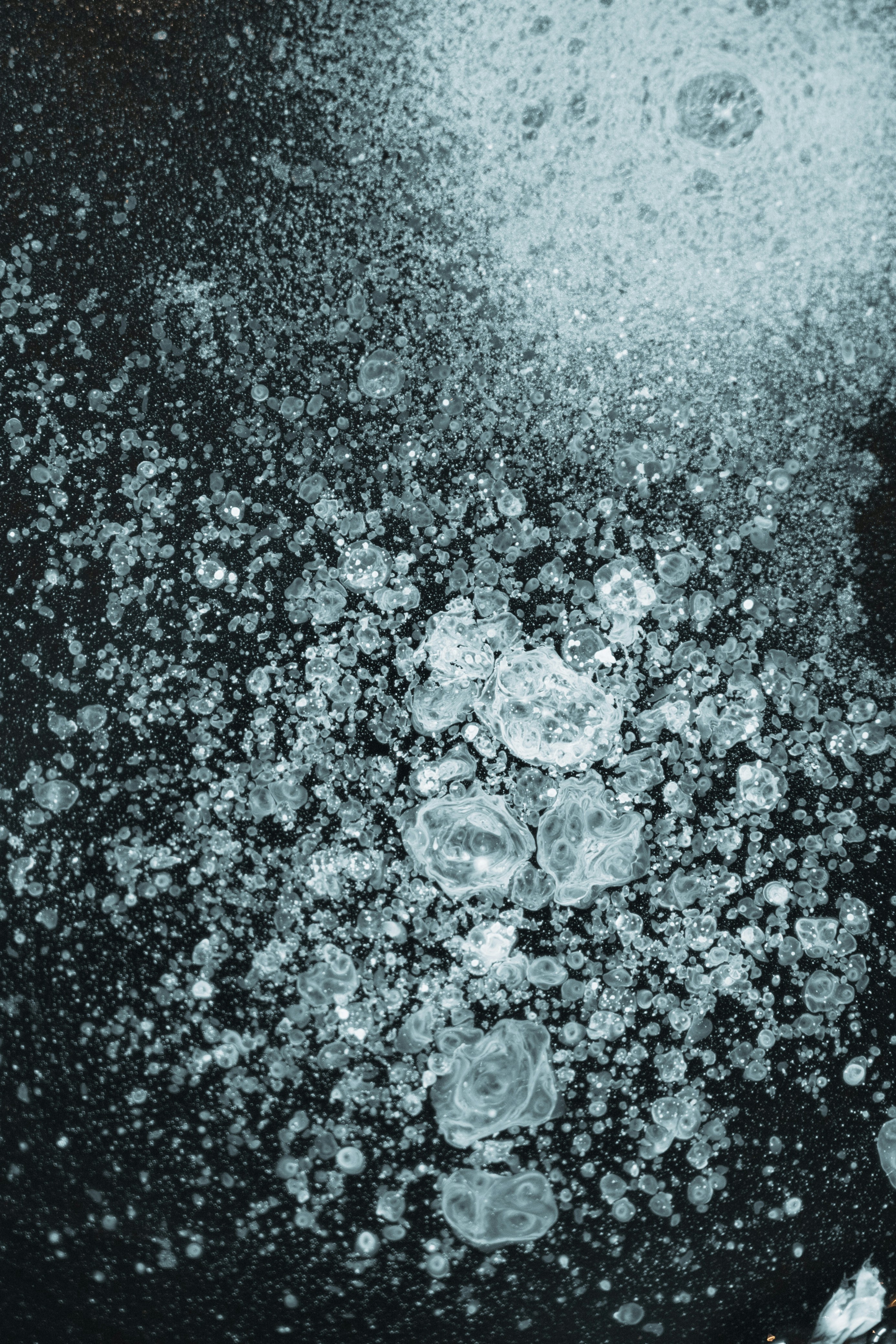 A mesmerizing formation of bubbles floating in a dark liquid, creating a surreal underwater scene.