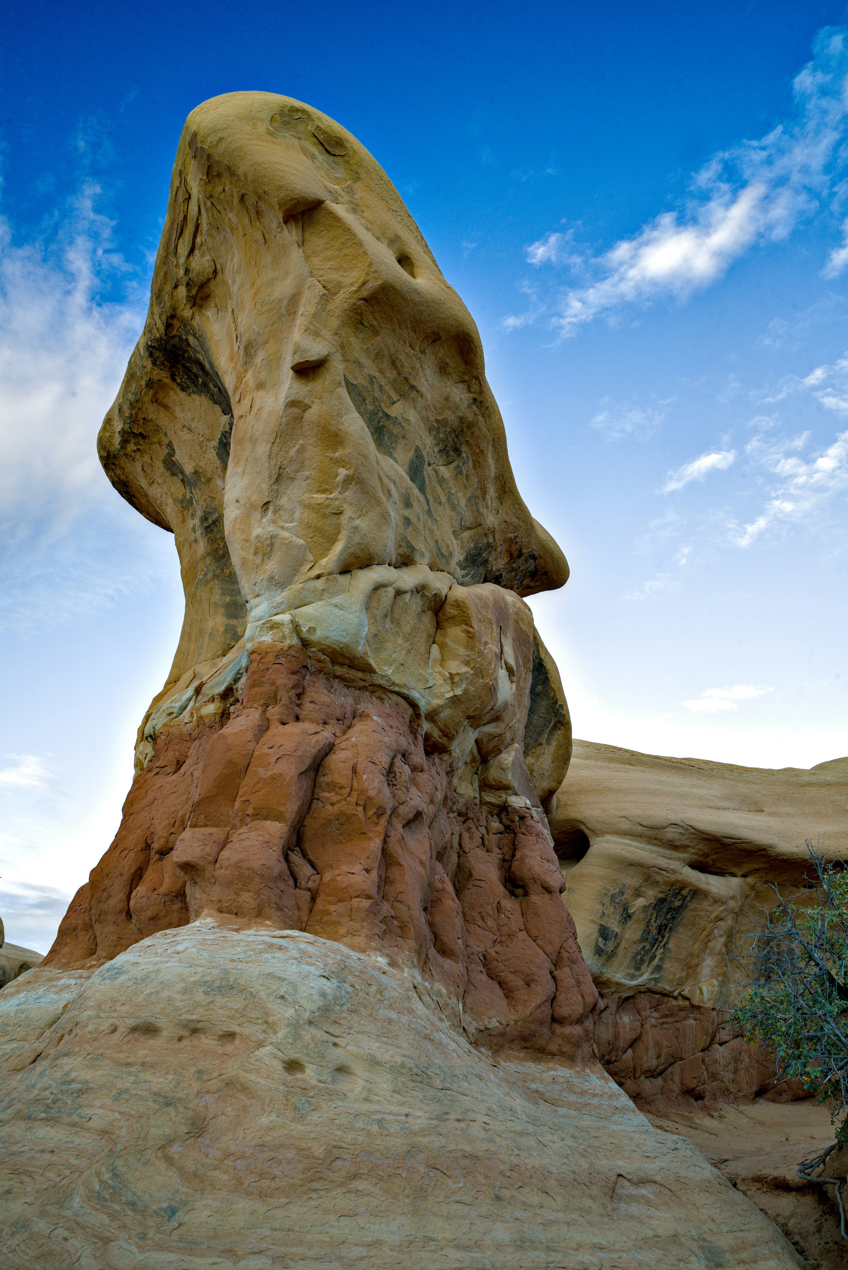 Stone Portrait in Desert Time: A Sculpted Hood of Sedimentary Form