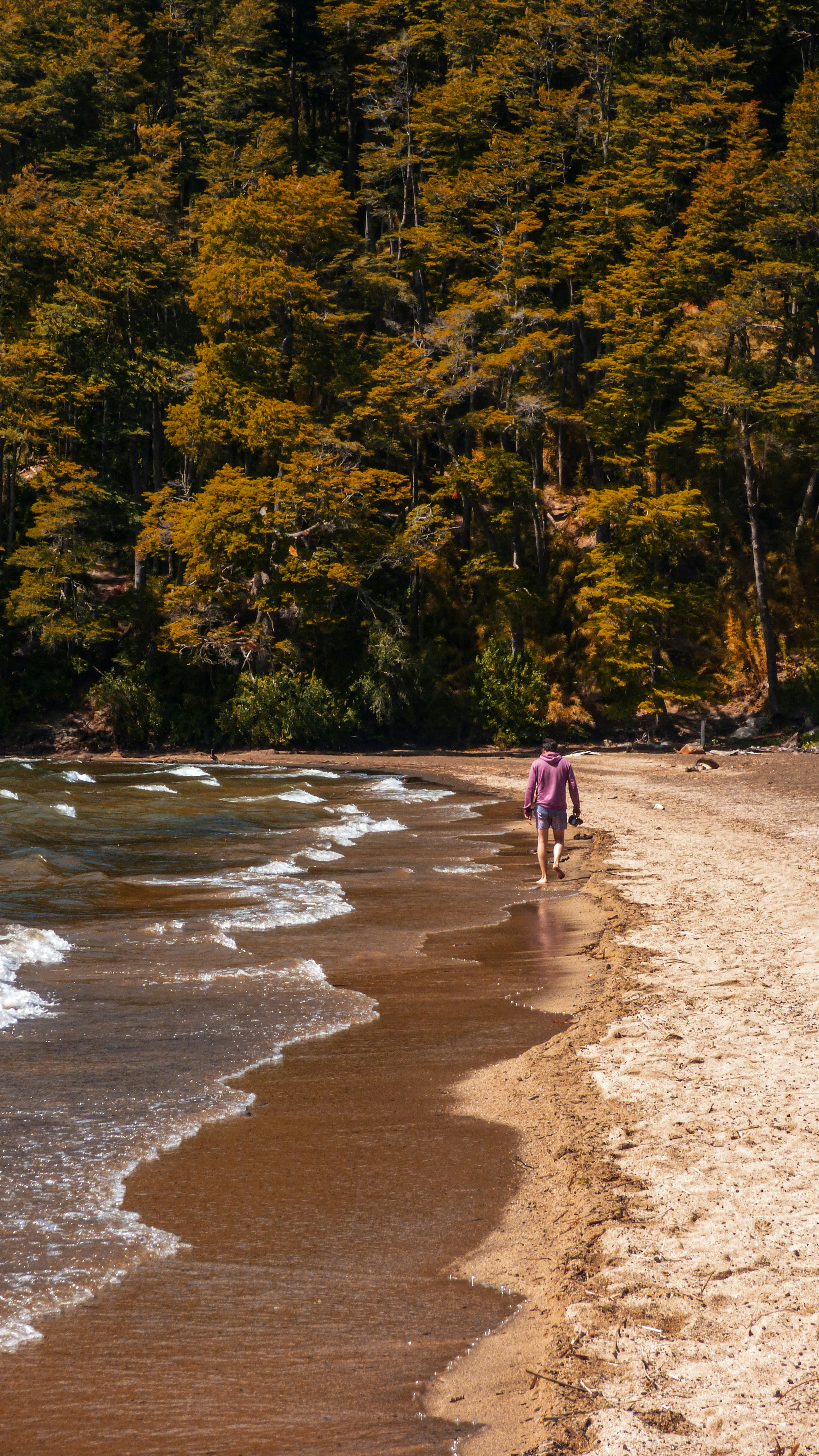 A lone passerby in a pink jacket walks the sandy shoreline as waves lap the edge, with a dense autumn forest rising behind.
