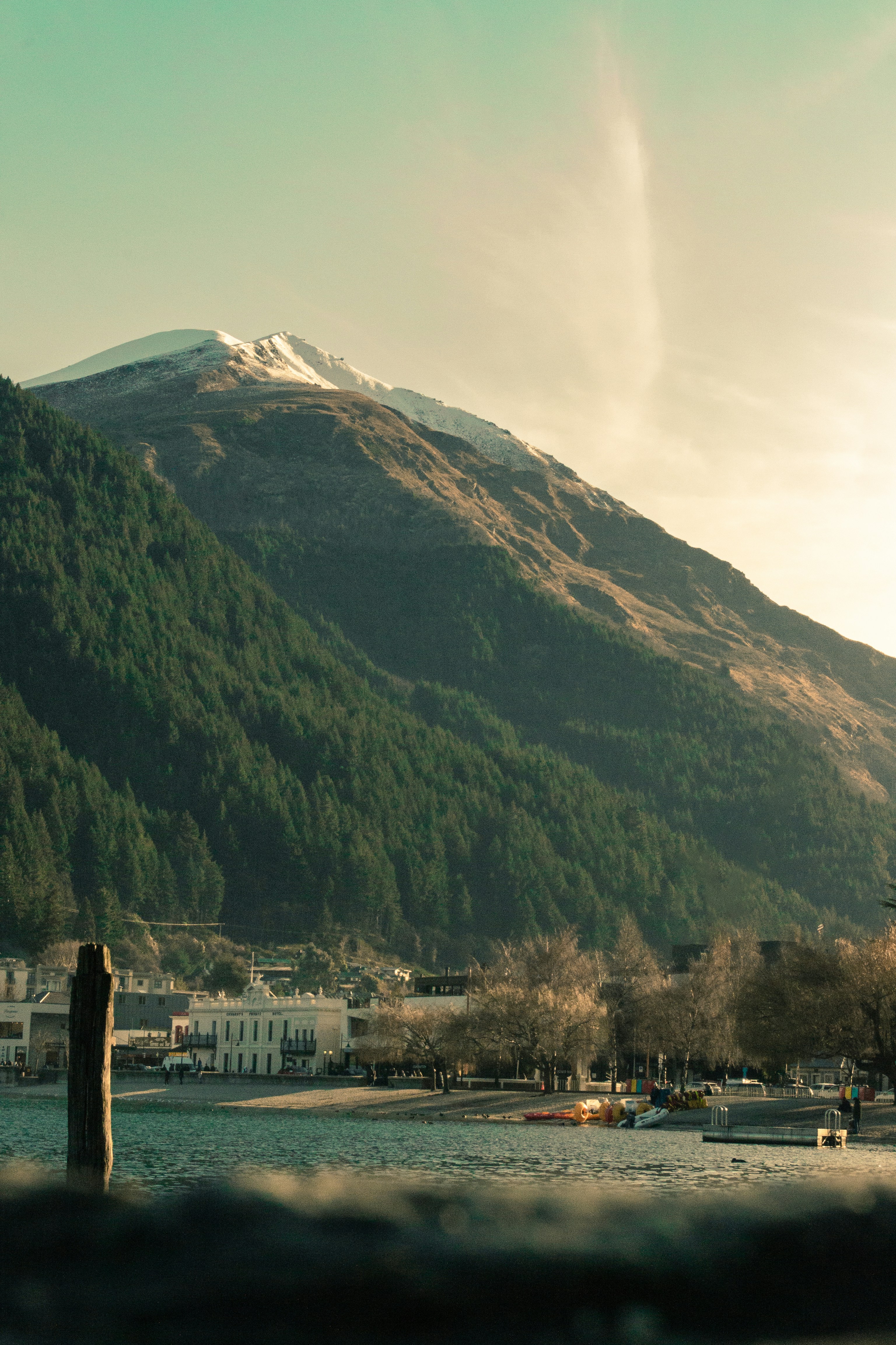 mountain with trees over body of water in daytime