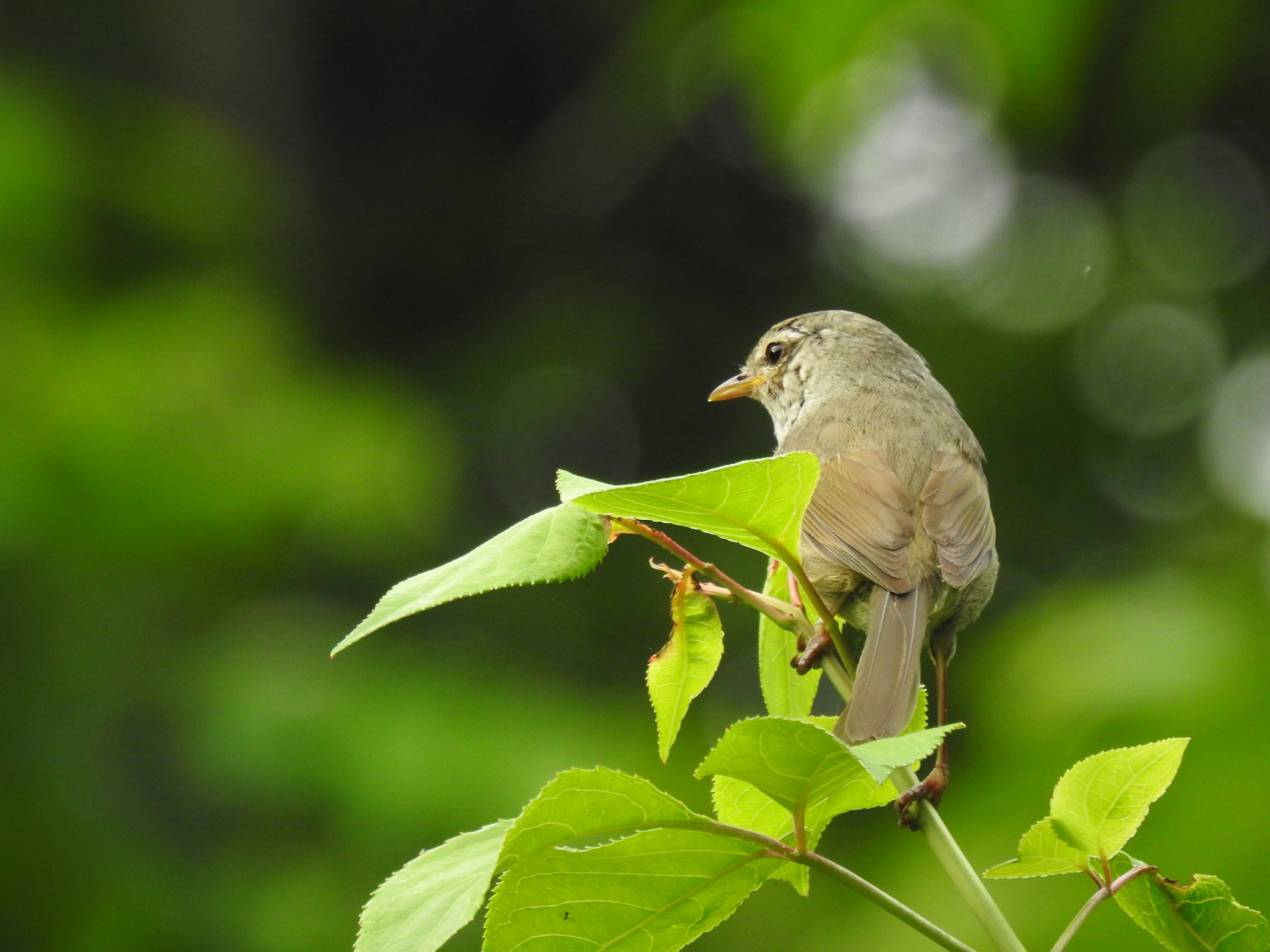 Ryosuke Yamaguchi (@maltiman) | Unsplash Photo Community