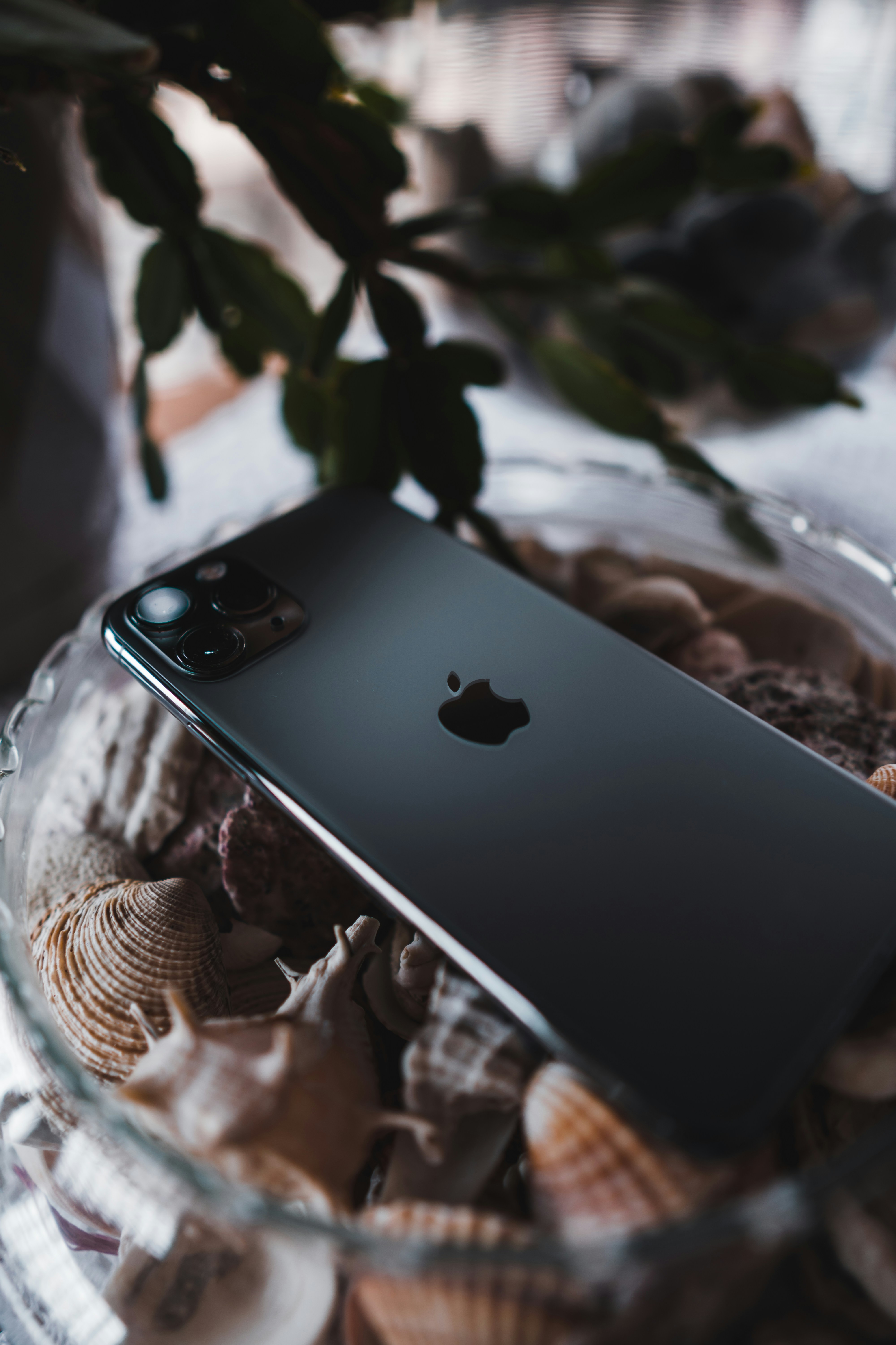 The Average Tech Guy (@the_average_tech_guy) | Unsplashフォトコミュニティ