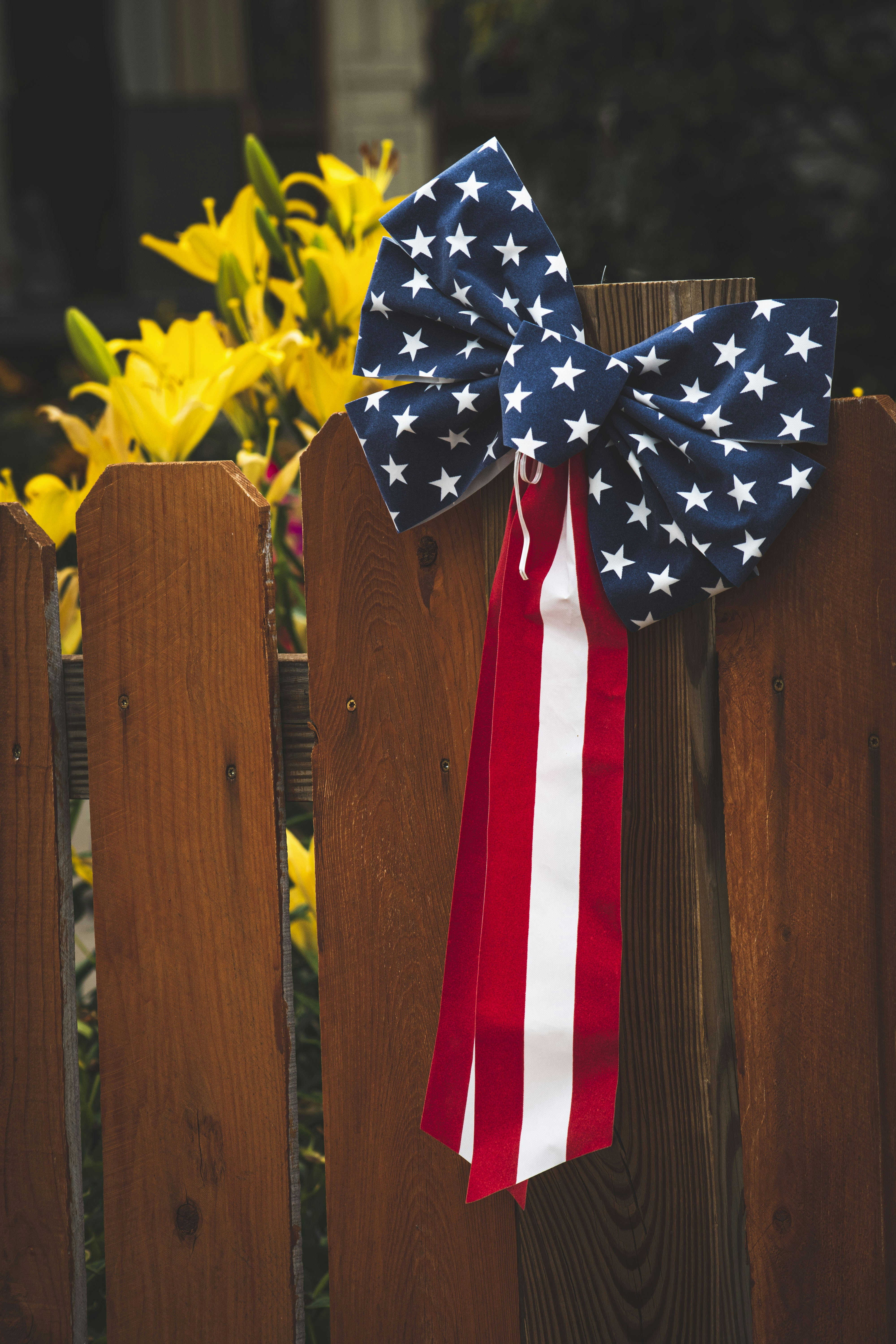 Necktie Pictures | Download Free Images on Unsplash