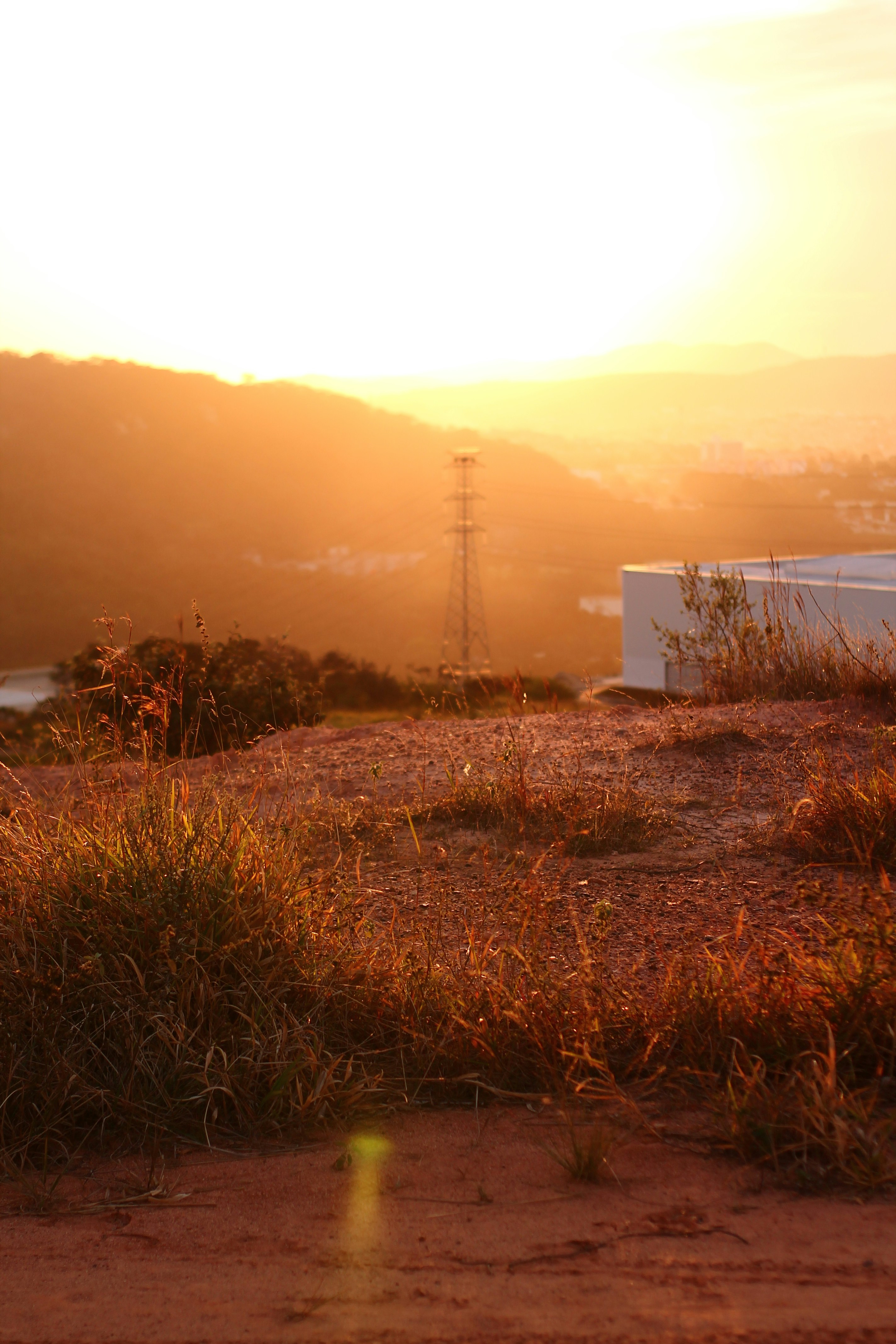 Golden Horizon Glow