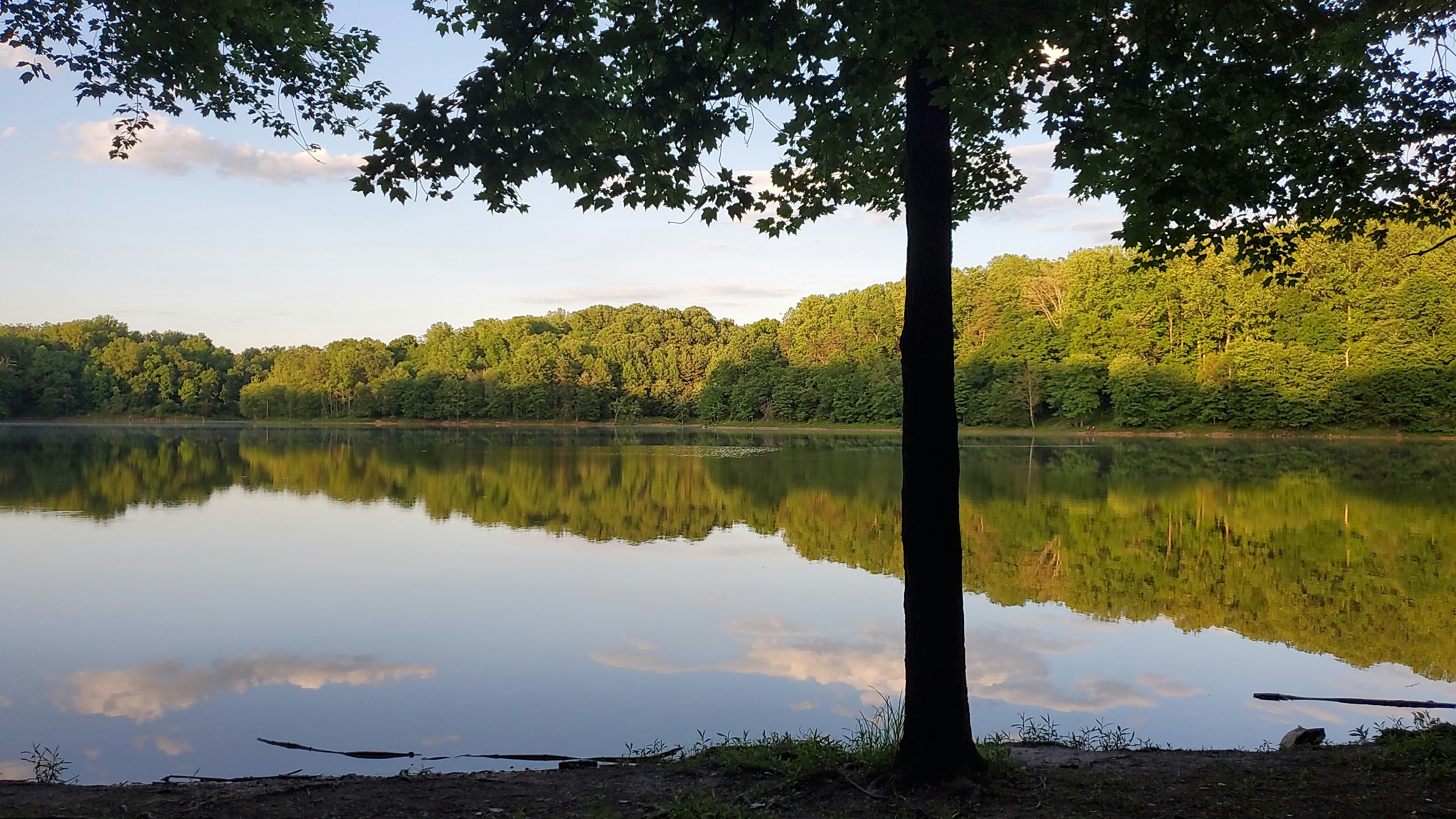 Green trees beside lake during daytime photo – Free Hiking Image on ...