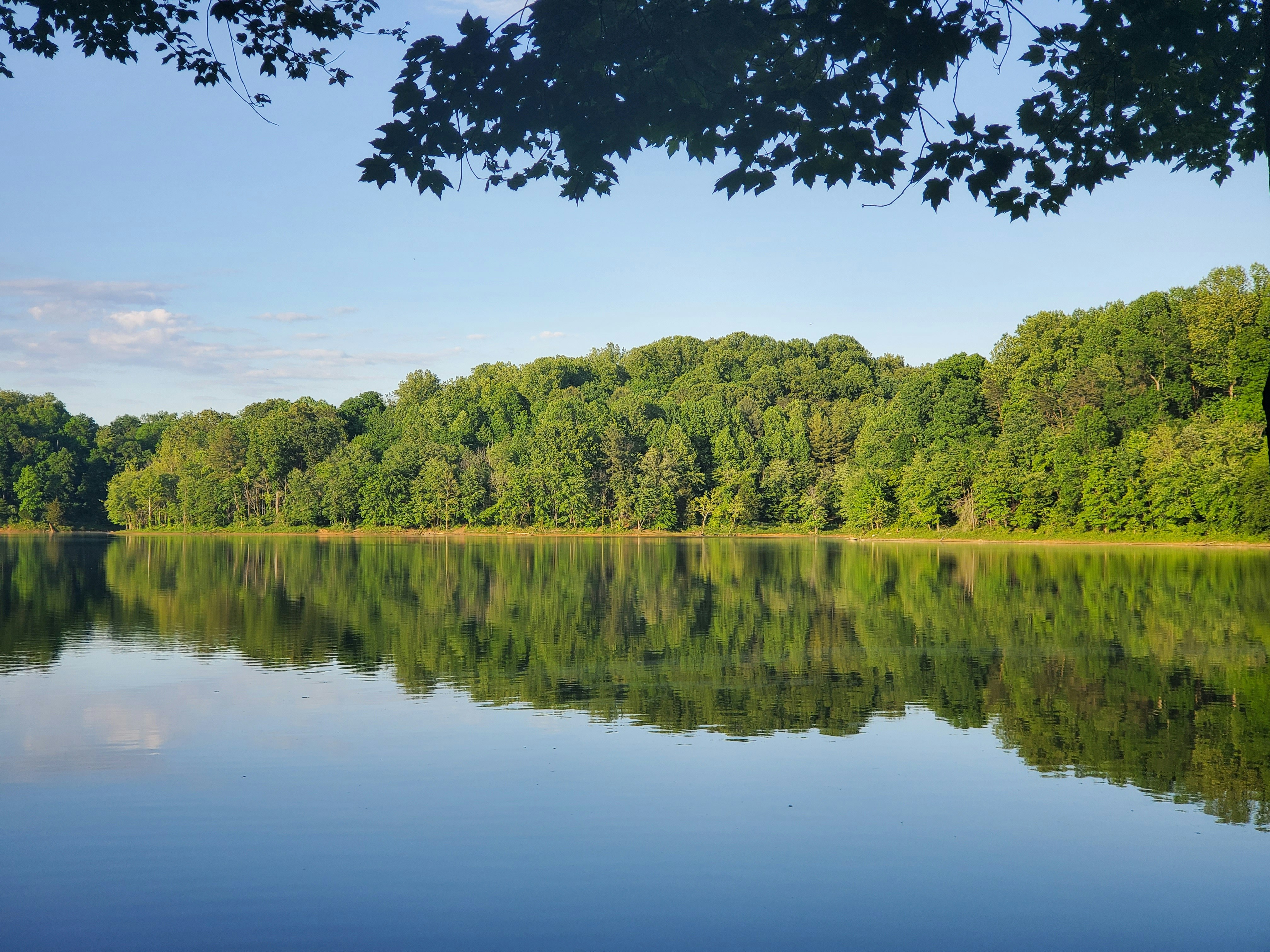 Green trees beside lake during daytime photo – Free Water Image on Unsplash