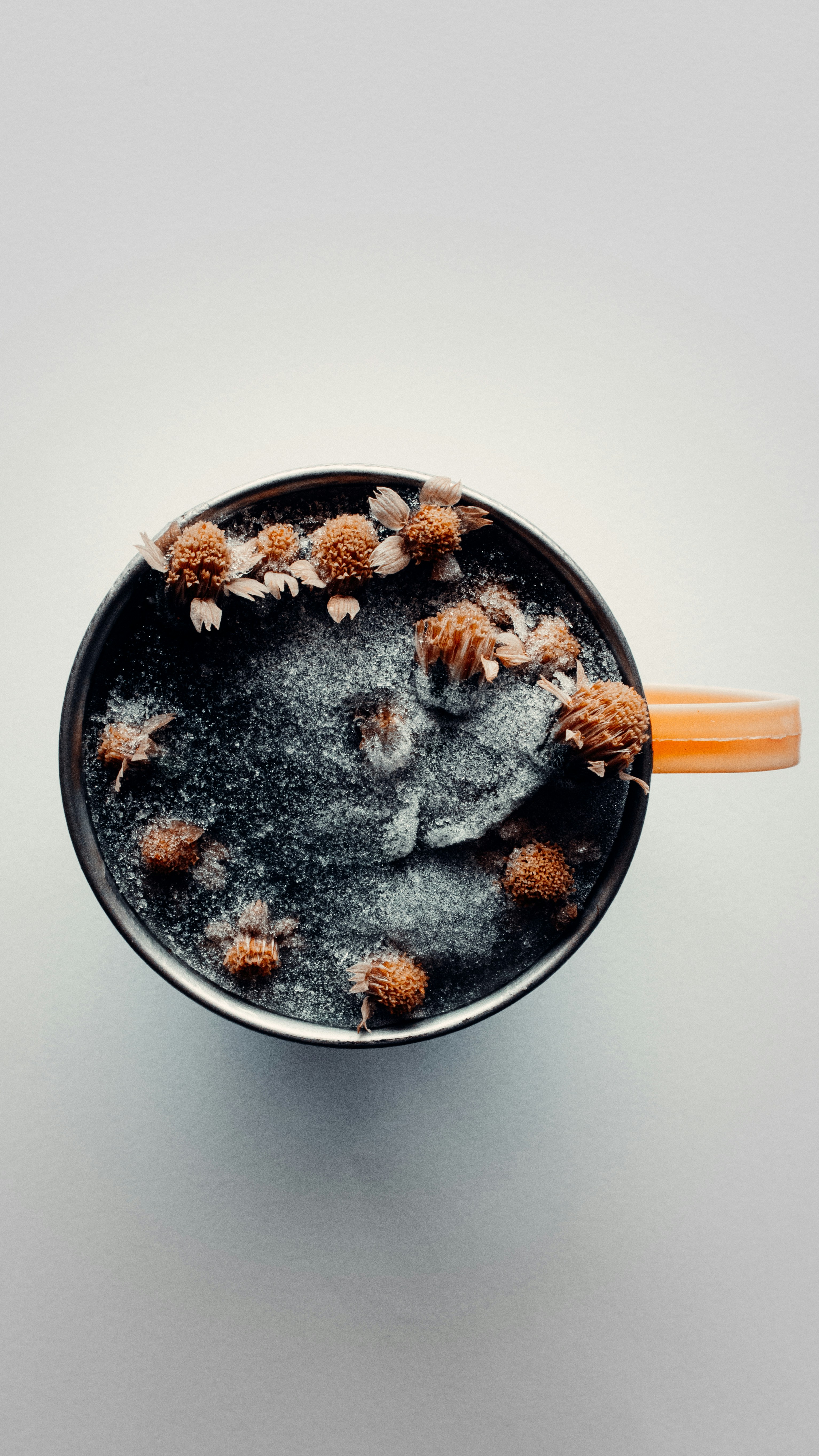 Top-Down Cocoa: A Cup of Winter Crystals and Frosted Berries