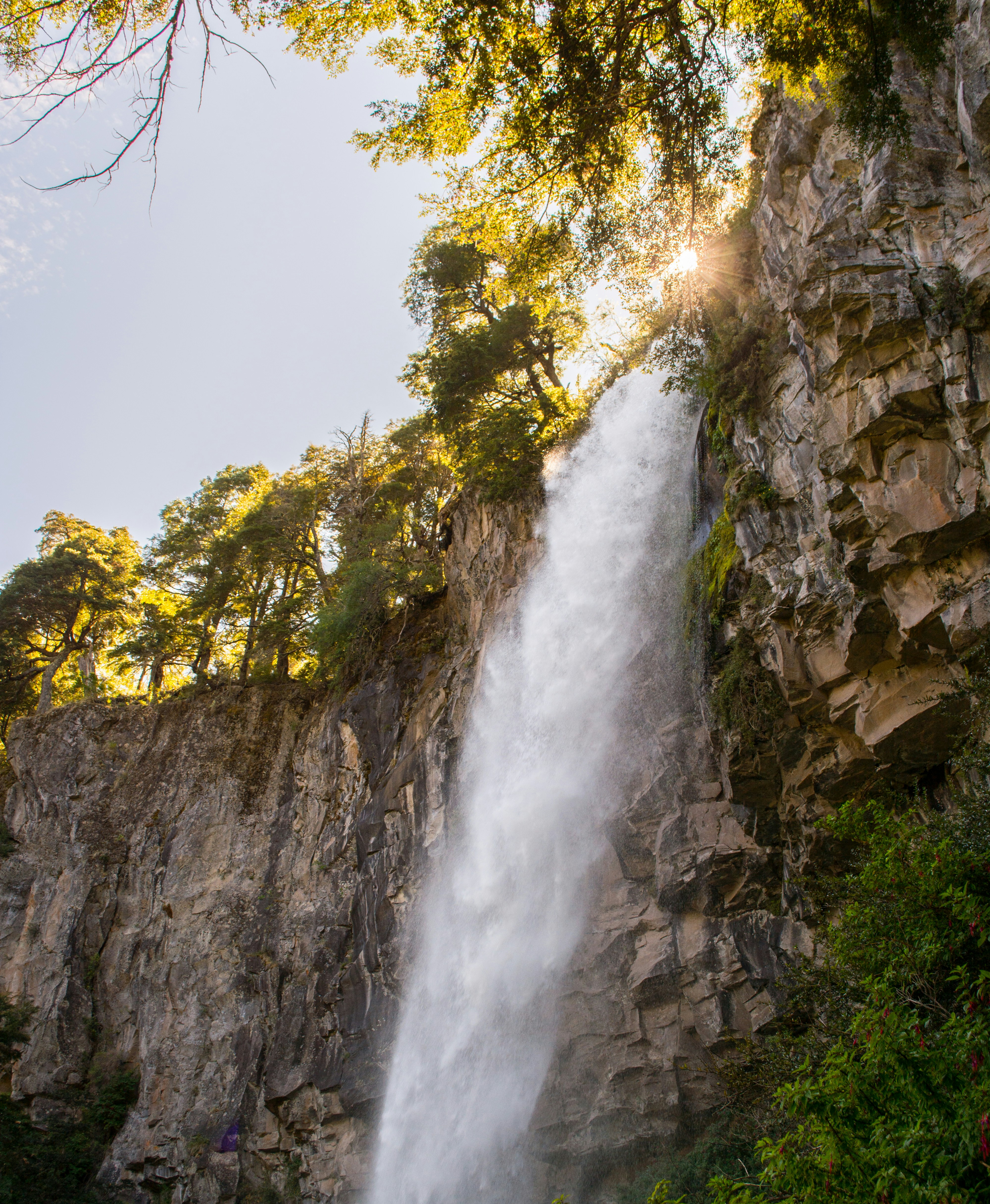 Sunlit Cascade in Lanin's WildernessFlorencia Lewis
