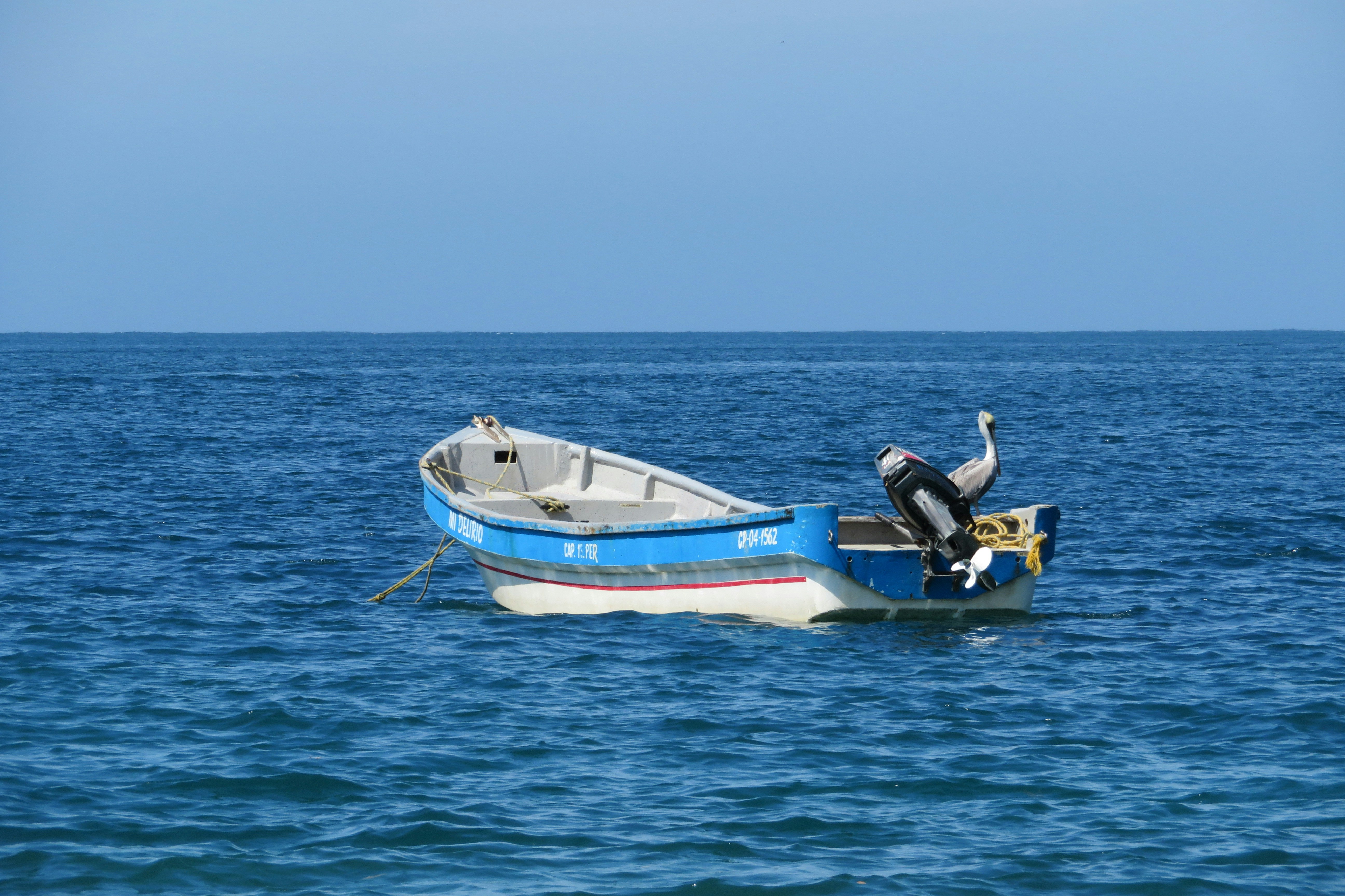 A small fishing boat anchored in calm waters, accompanied by a pelican perched on the side. The tranquil scene captures the essence of coastal life.