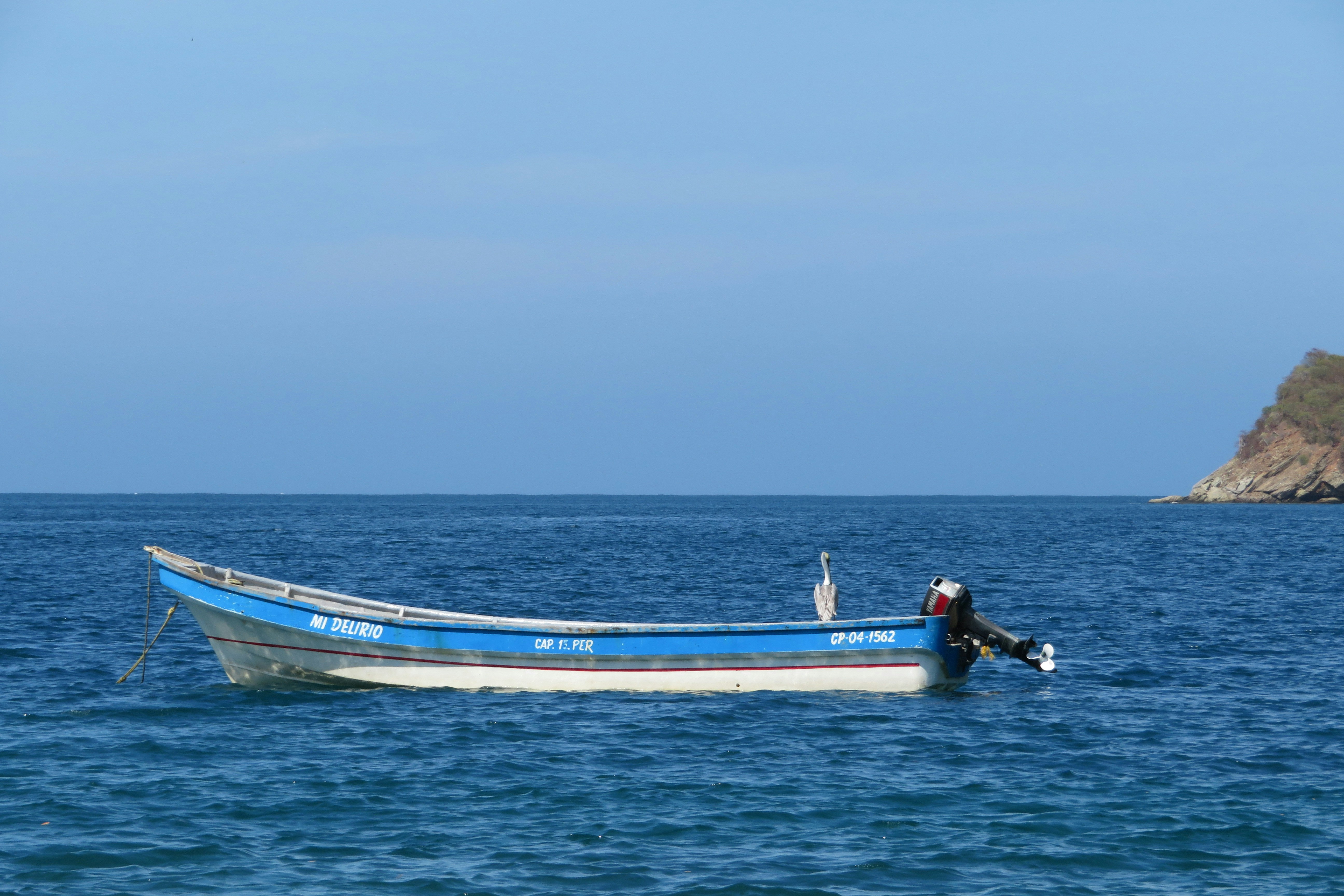 A pelican perches calmly on a small blue boat floating in a vast, calm sea under a clear blue sky.