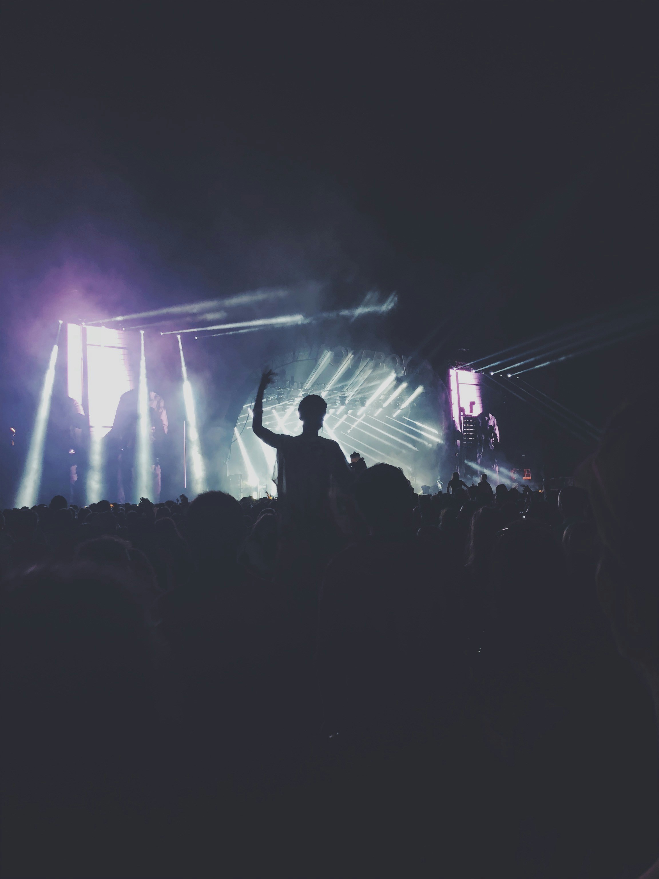 Concert Tumblr