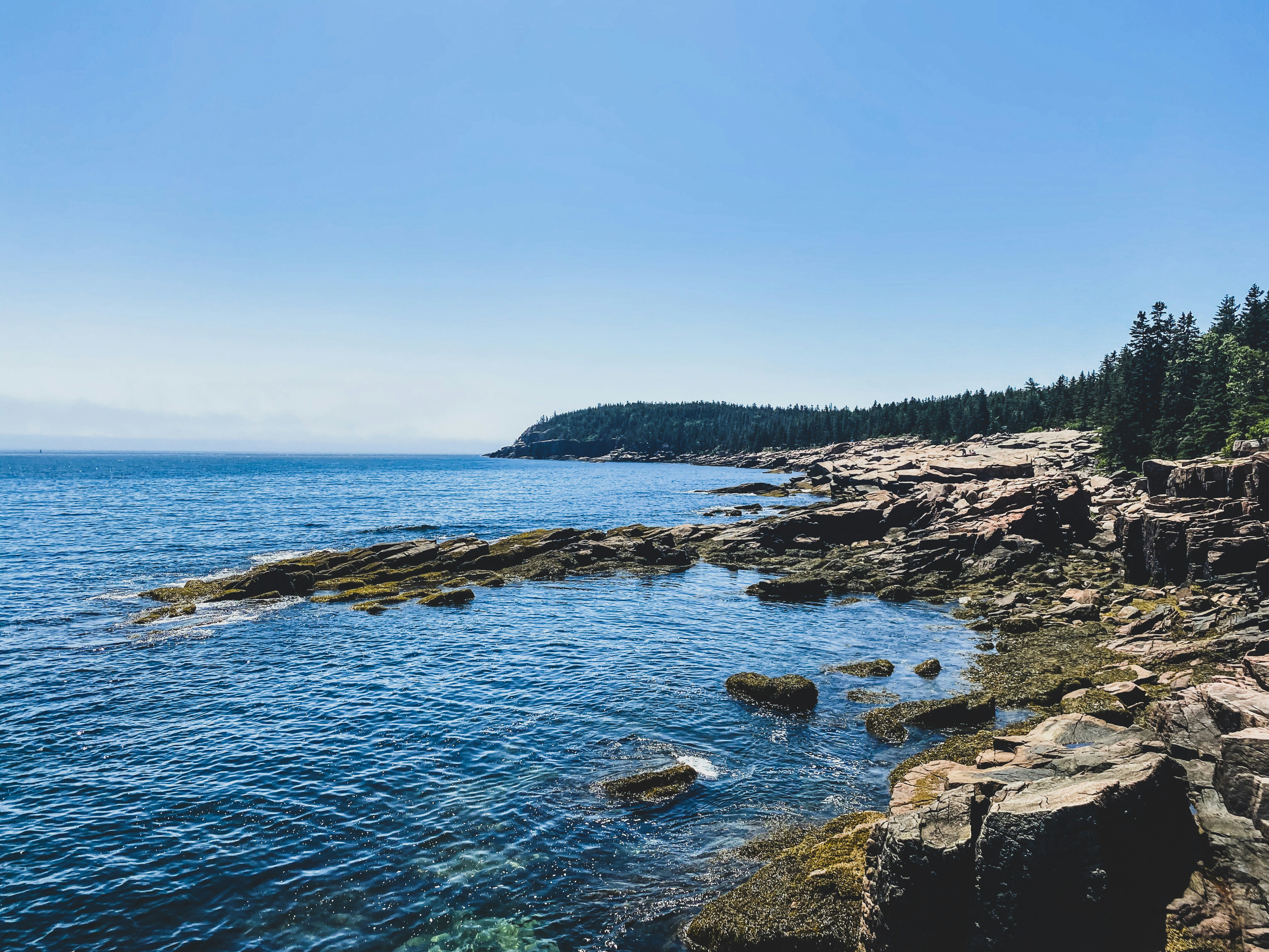 Green trees beside body of water during daytime photo – Free Acadia ...