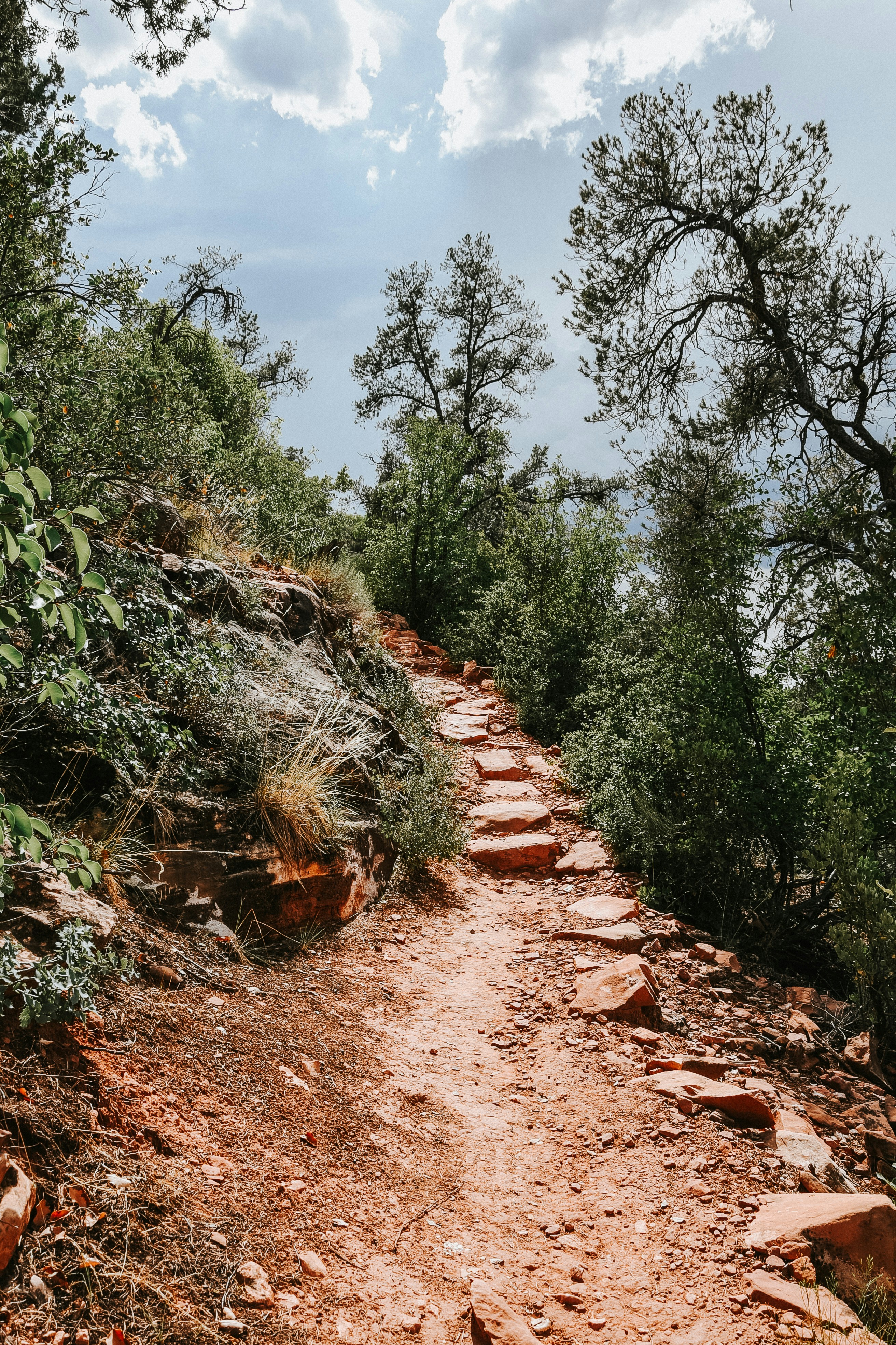 Pathway to heaven red rock hiking | green plants on brown dirt pathway