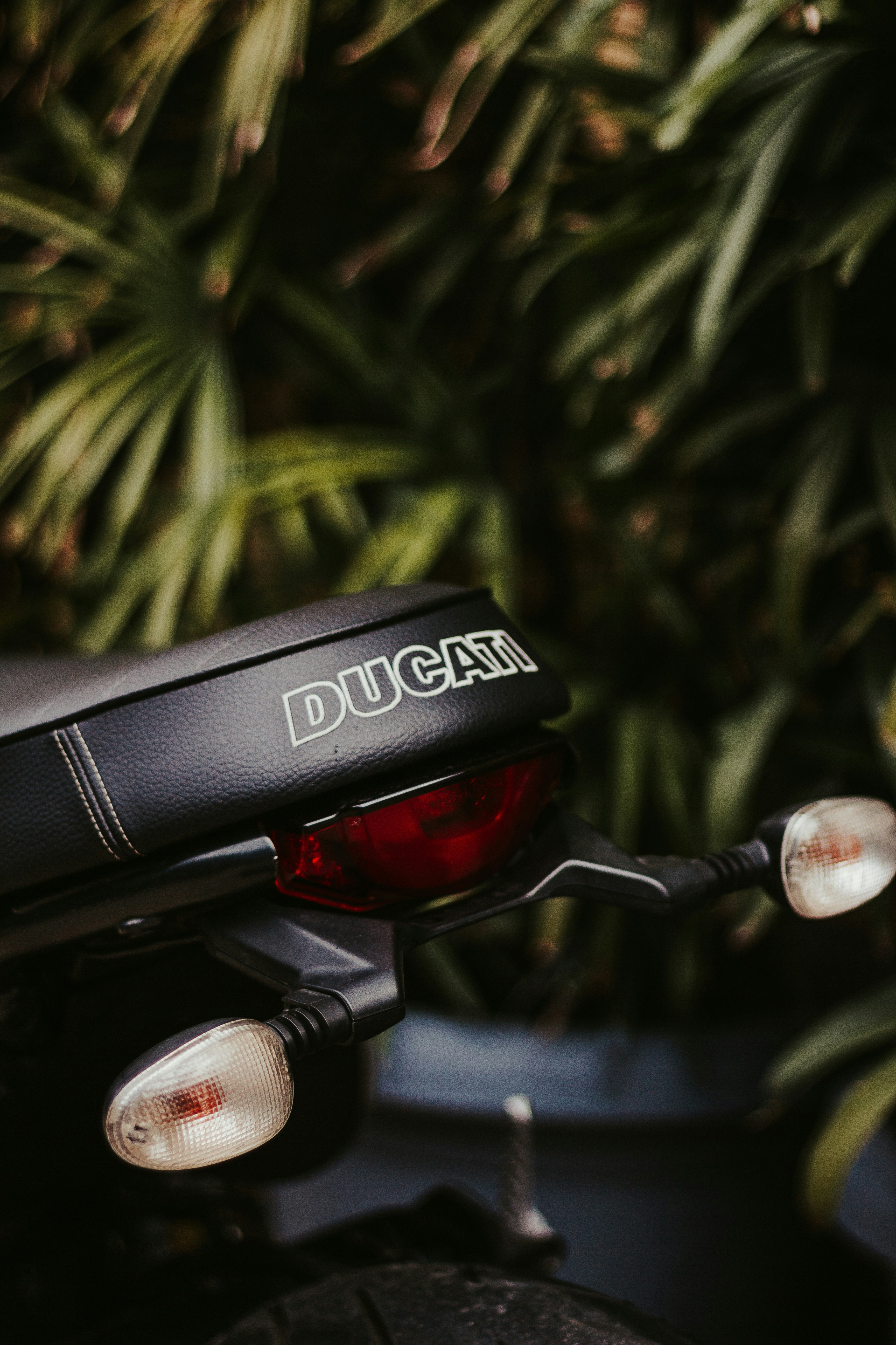  Ducati Seatline: A Streetwise Moment with Exhausted Grace