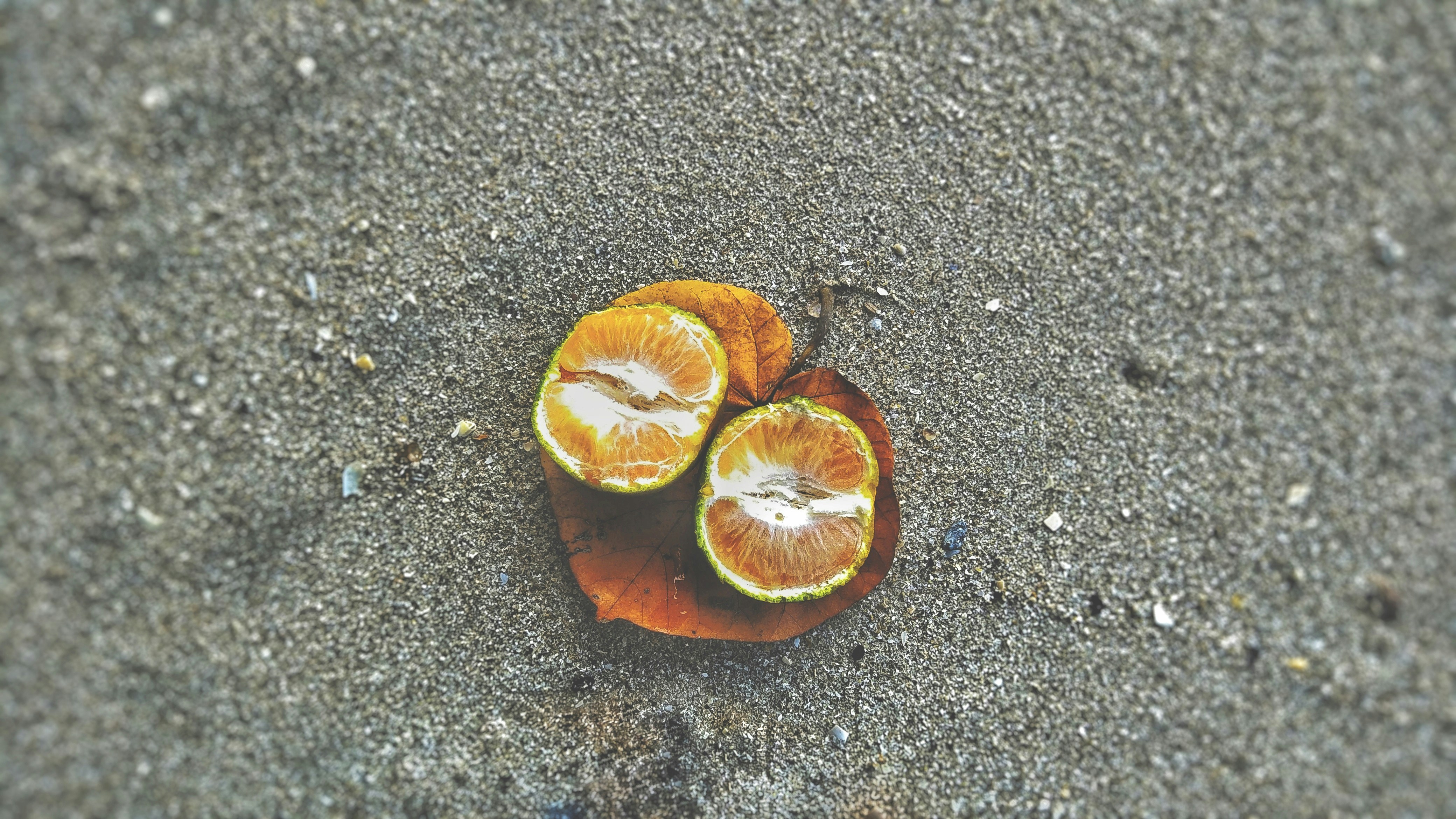 Halved oranges resting on a dry leaf, surrounded by textured sand. The scene highlights the contrast between vibrant fruit and earthy tones.