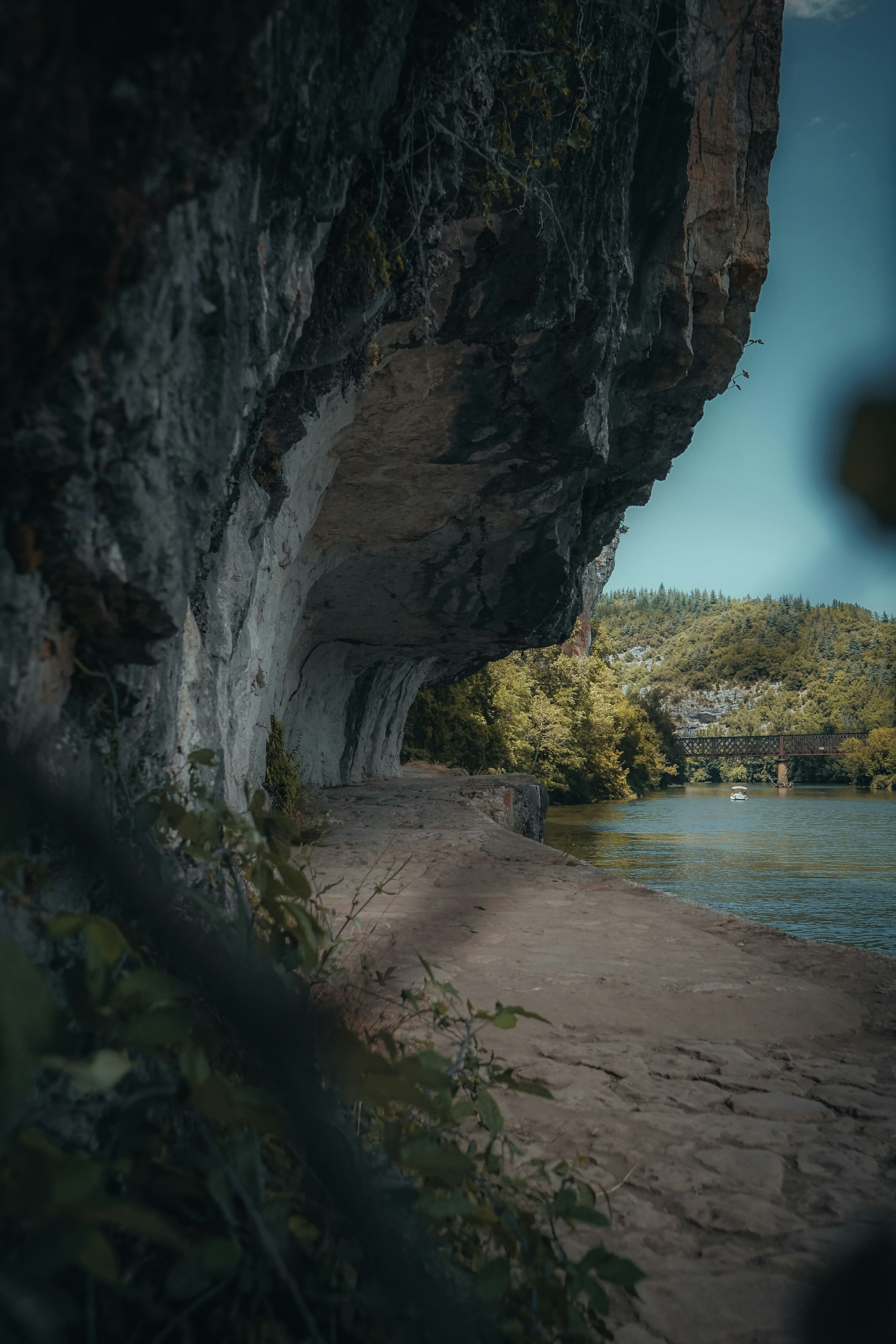 Riverbank Echo: A Quiet Crawl of Stone and Water