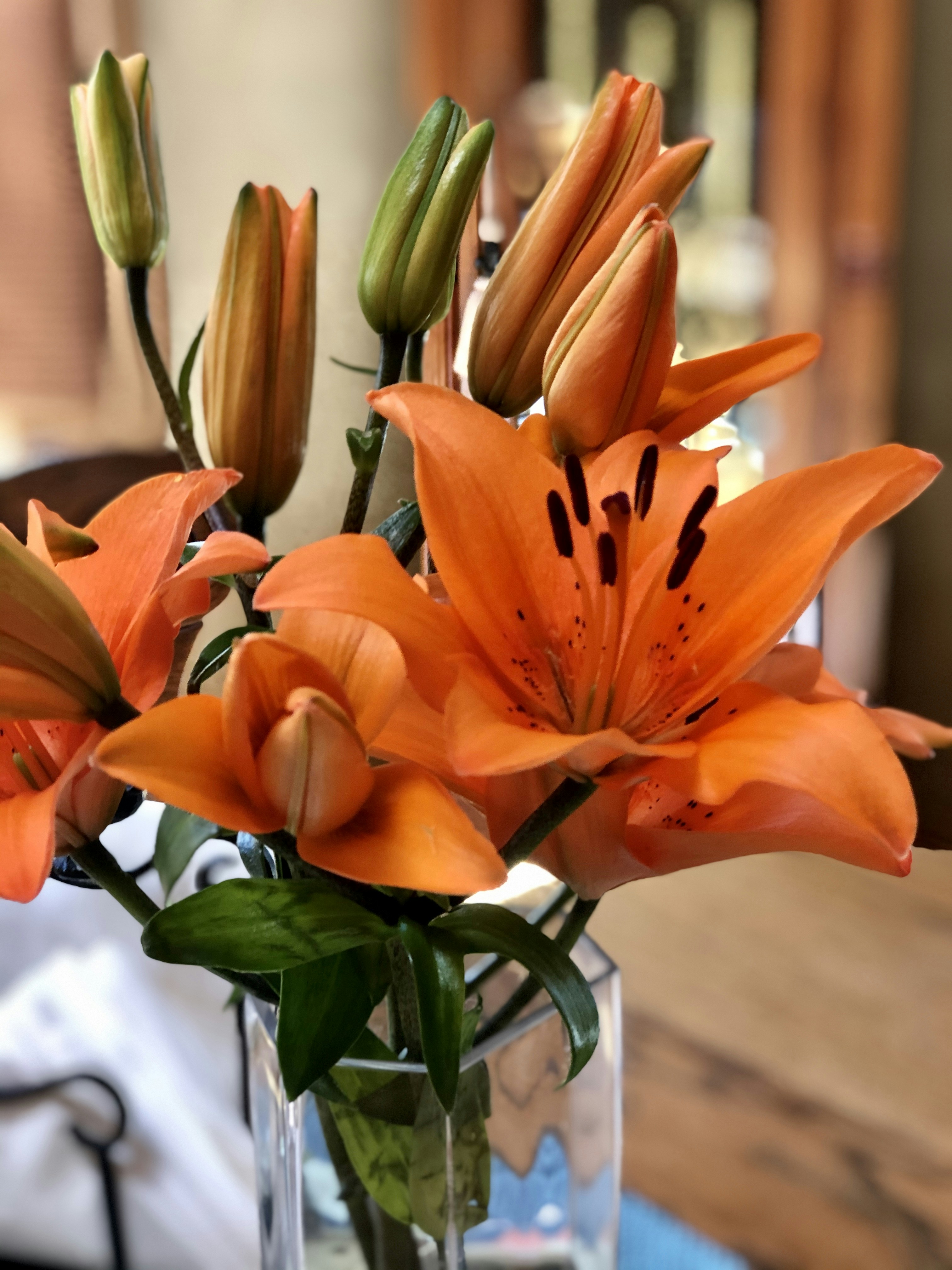 Orange Lily Bouquet Reaching Toward Soft Light