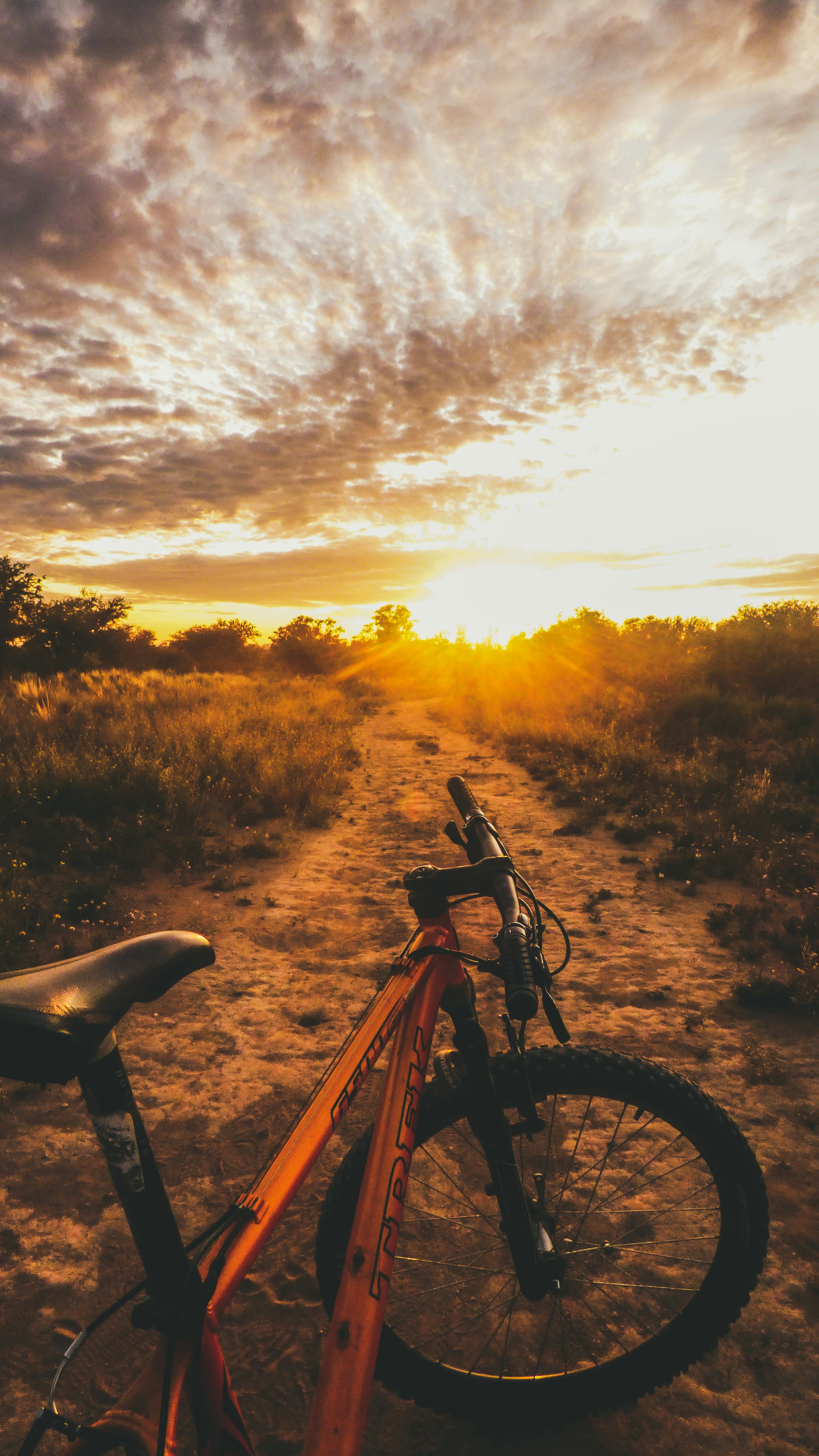 An orange mountain bike rests on a dusty trail as the sunset floods the scene. The warm, golden light highlights scrubby vegetation and the sun's rays break through clouds.