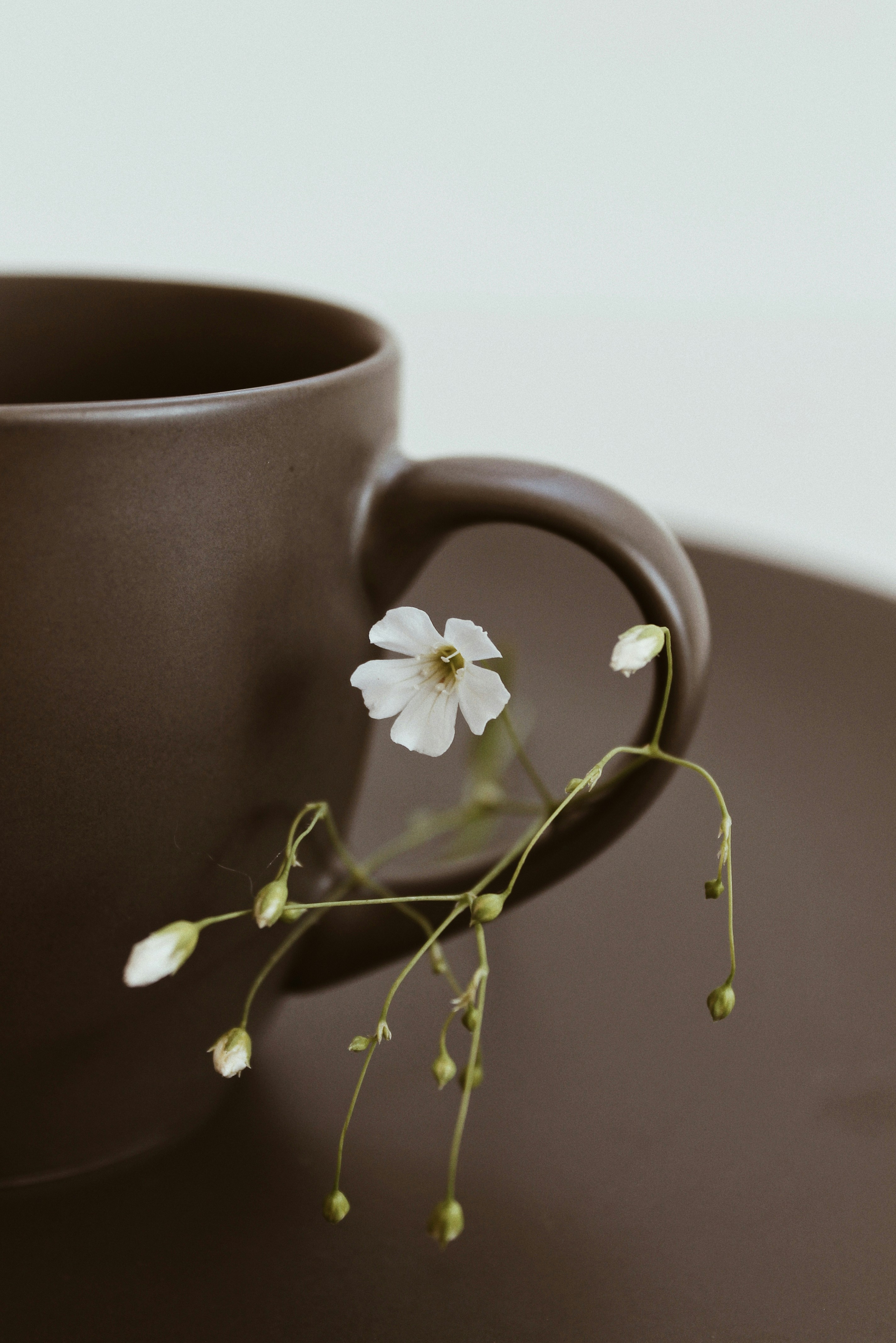 A dark ceramic cup adorned with delicate white flowers, resting on a matching surface. The composition highlights the harmony between nature and everyday objects.