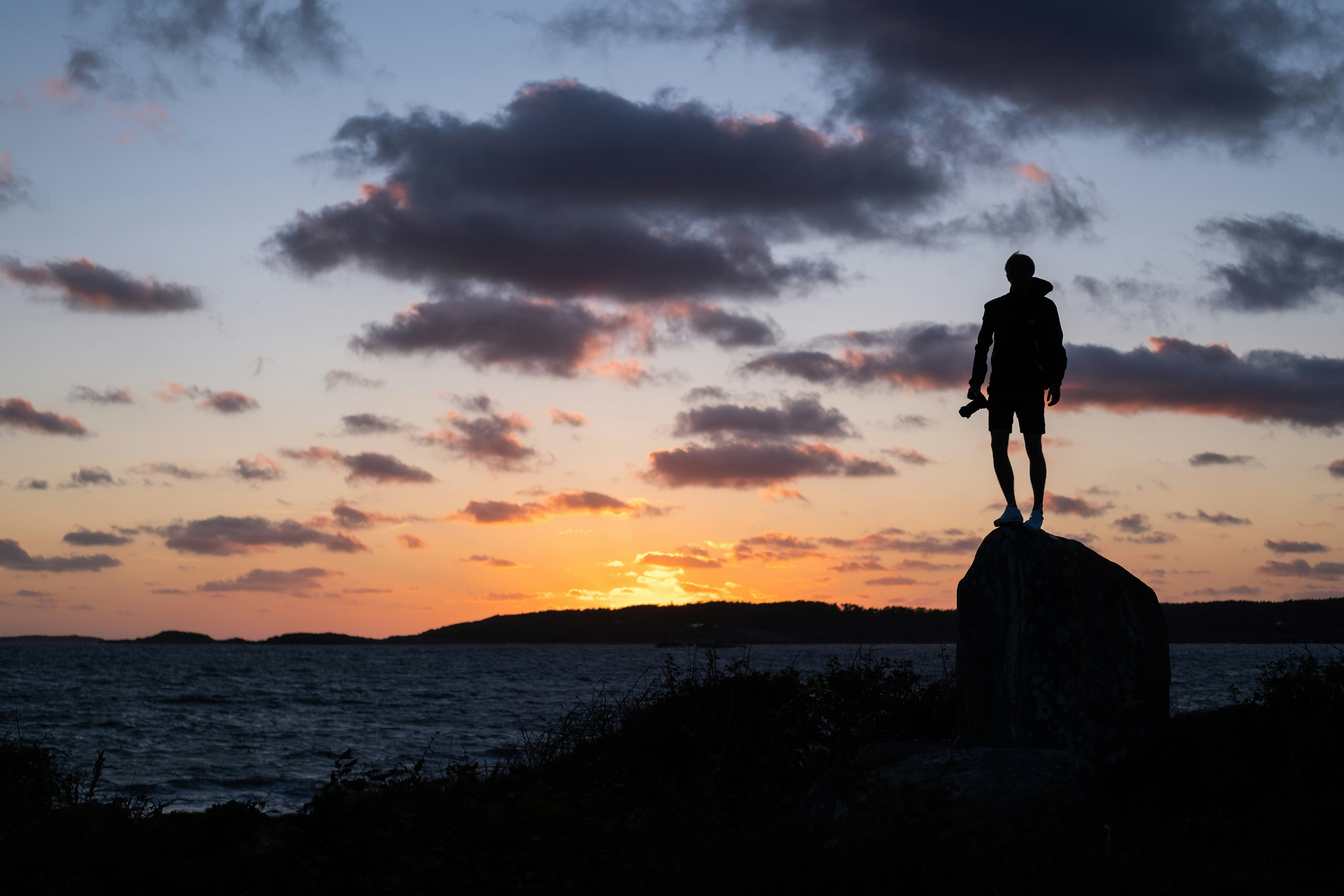 Sunset Sentinel on a Seaside Rock
