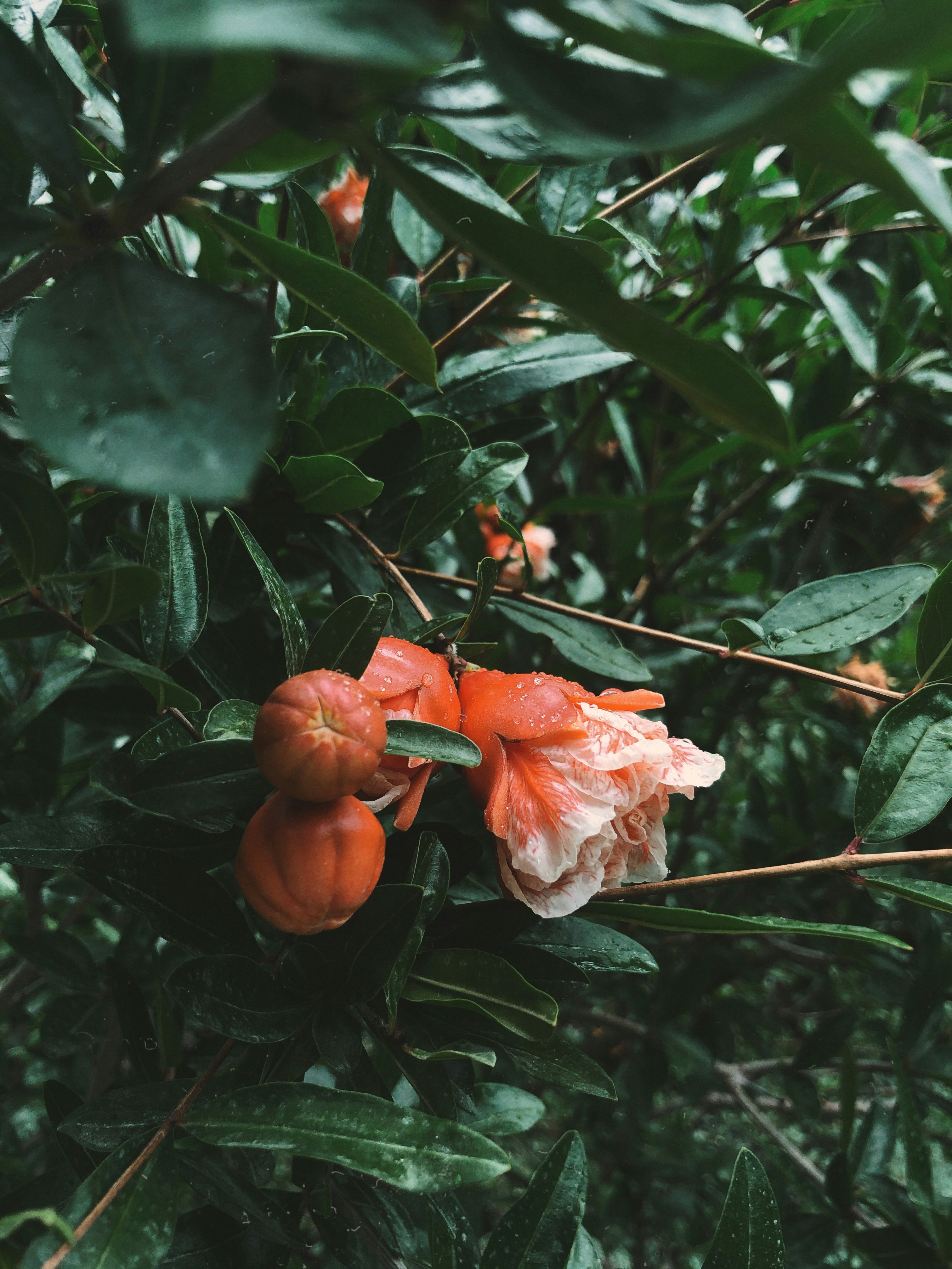 Photo by Alina Egorova with Apple iPhone 8 Plus