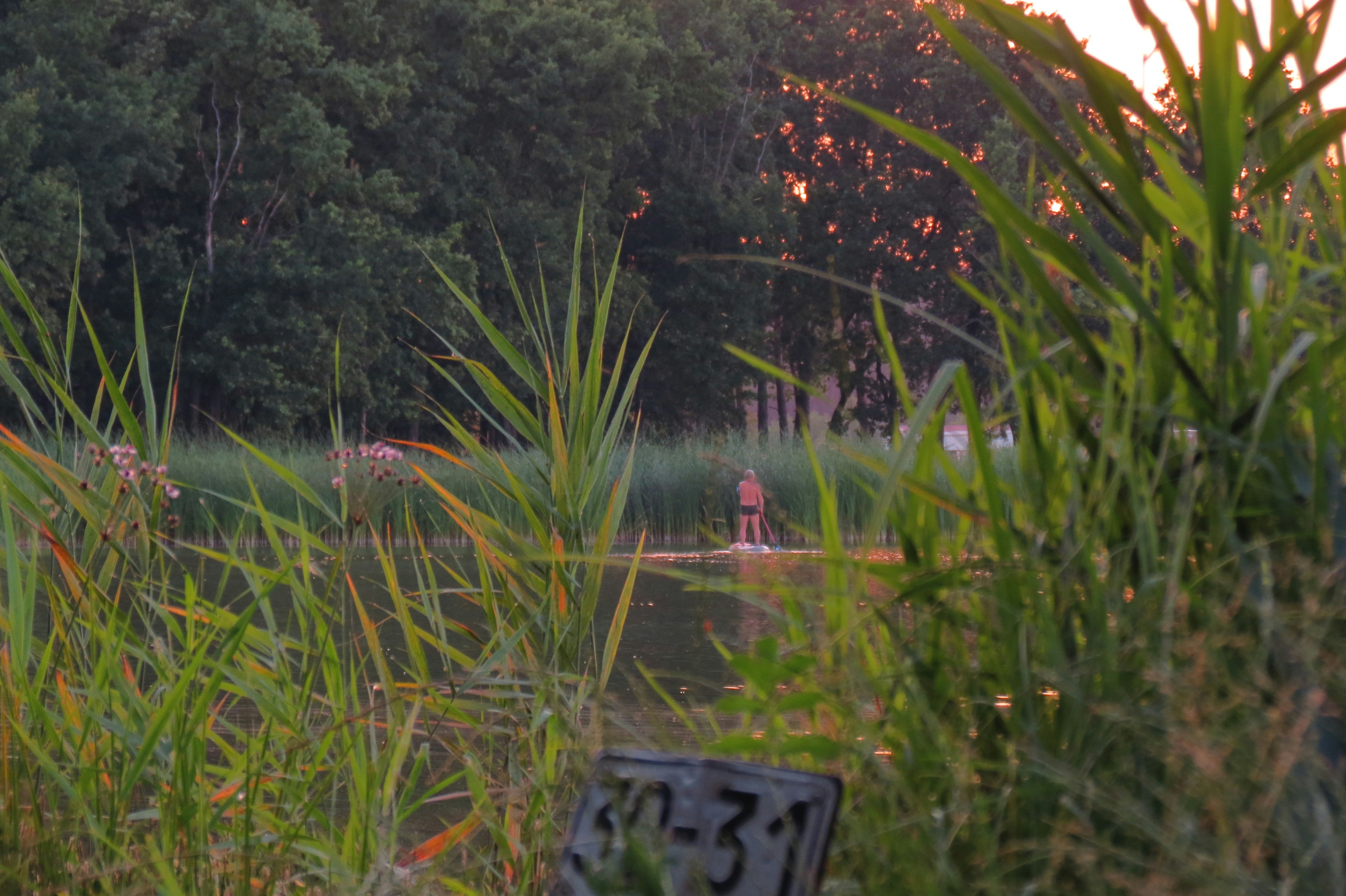 A solitary figure fishing at twilight, surrounded by lush greenery and reflective water, capturing a tranquil moment in nature.