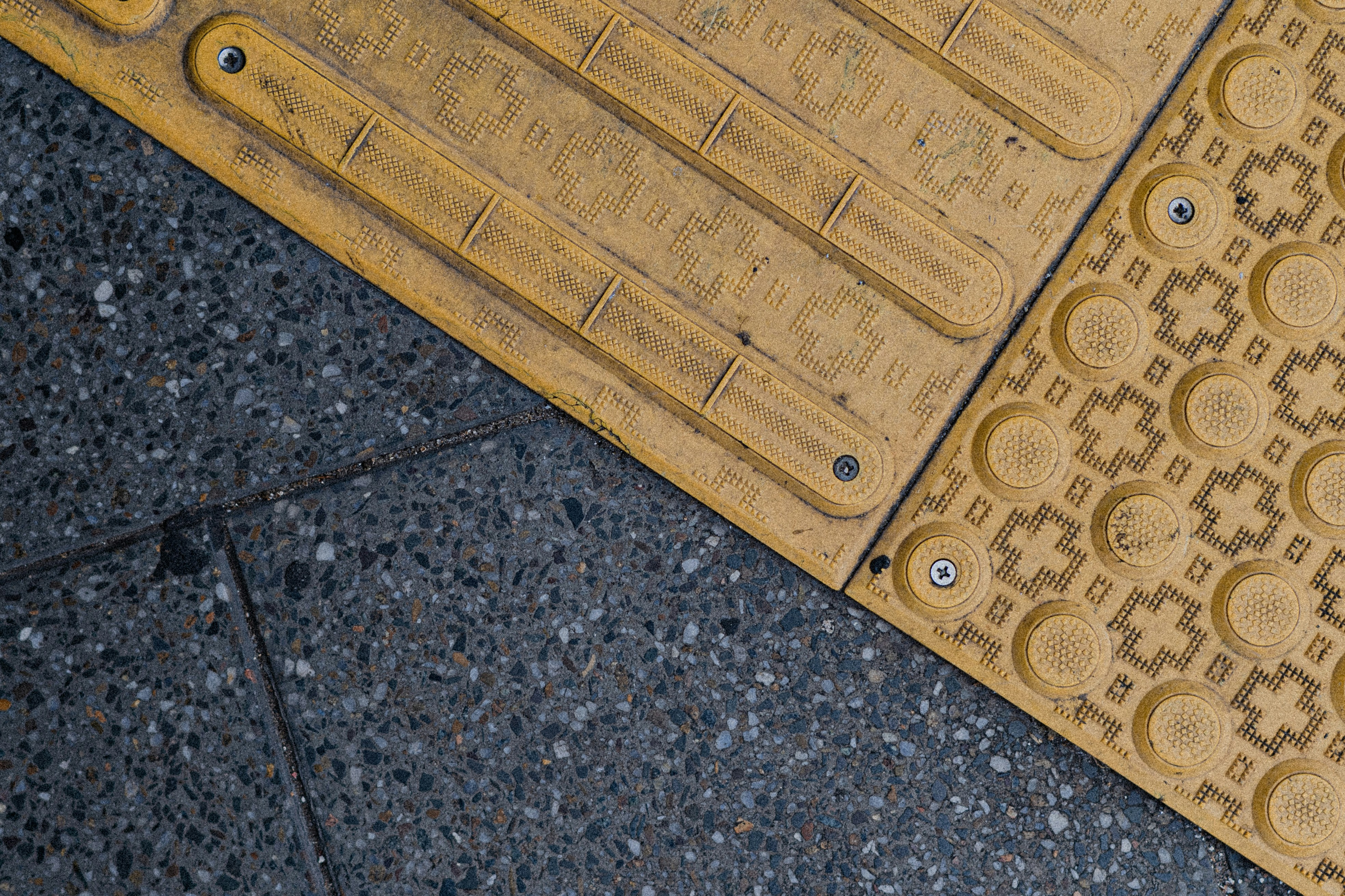 Sunlit Gridwork at the Street Edge
