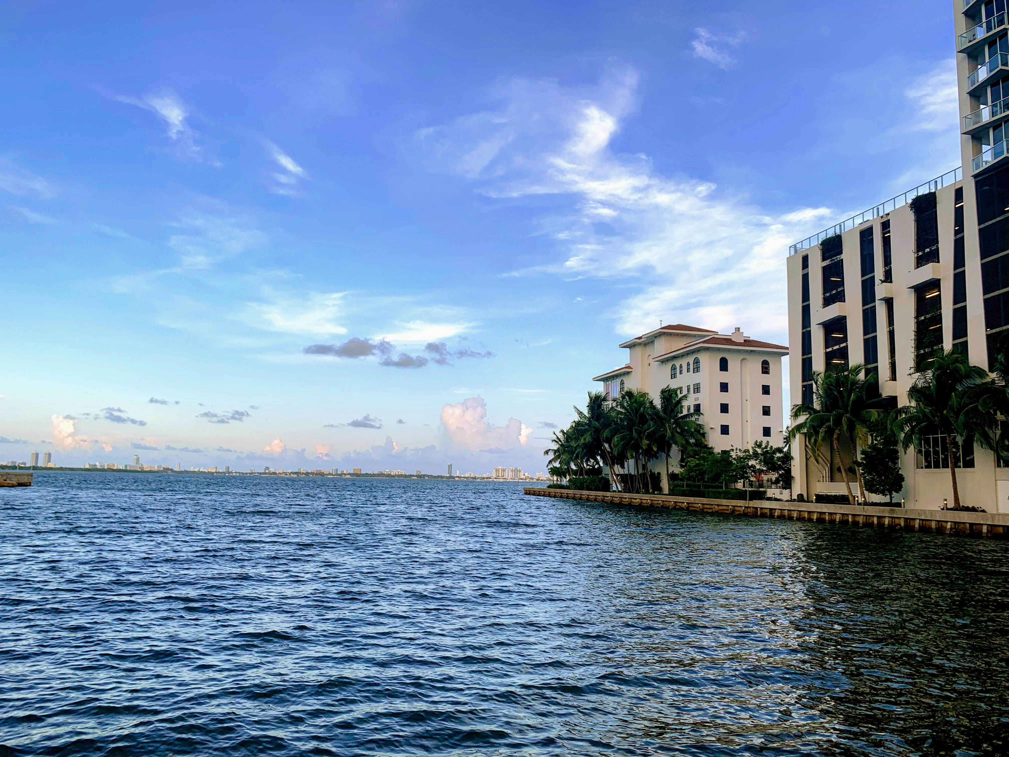 Waterfront view with modern buildings and palm trees under a vibrant blue sky.