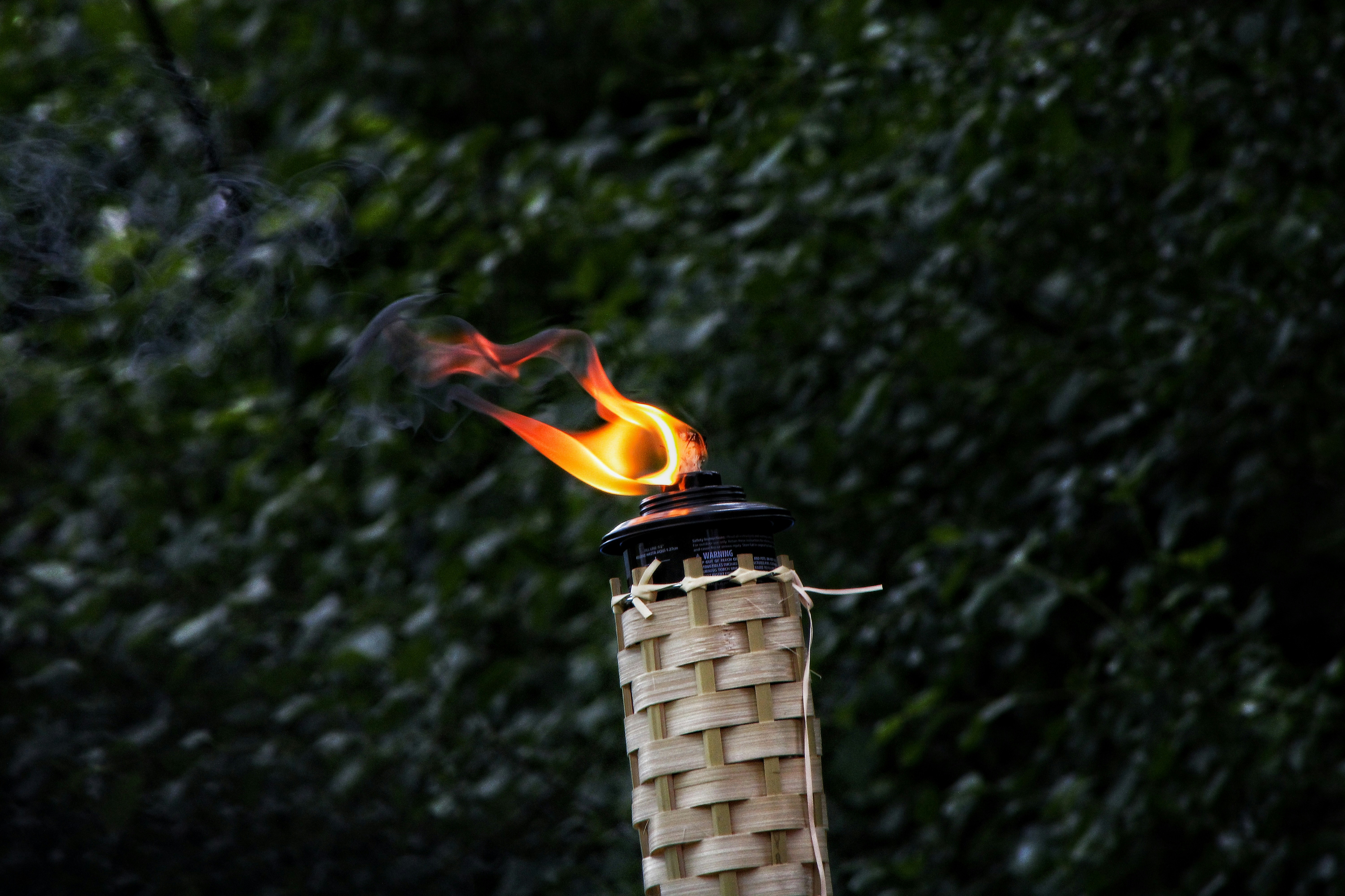 Définition de porte-flambeau | Dictionnaire français