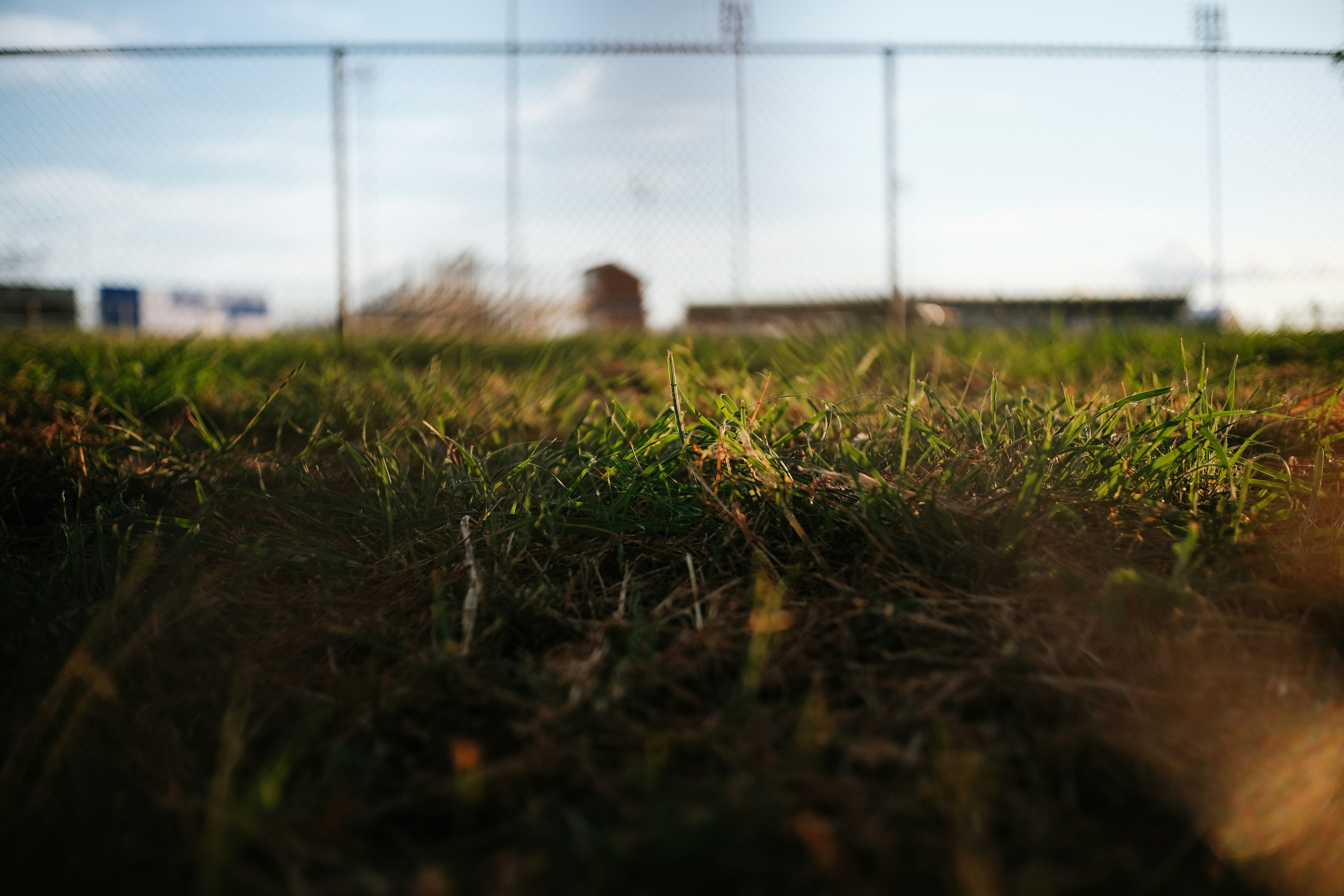Ground-Level Grass in Focus: Distant Fence Framing a Quiet Sky