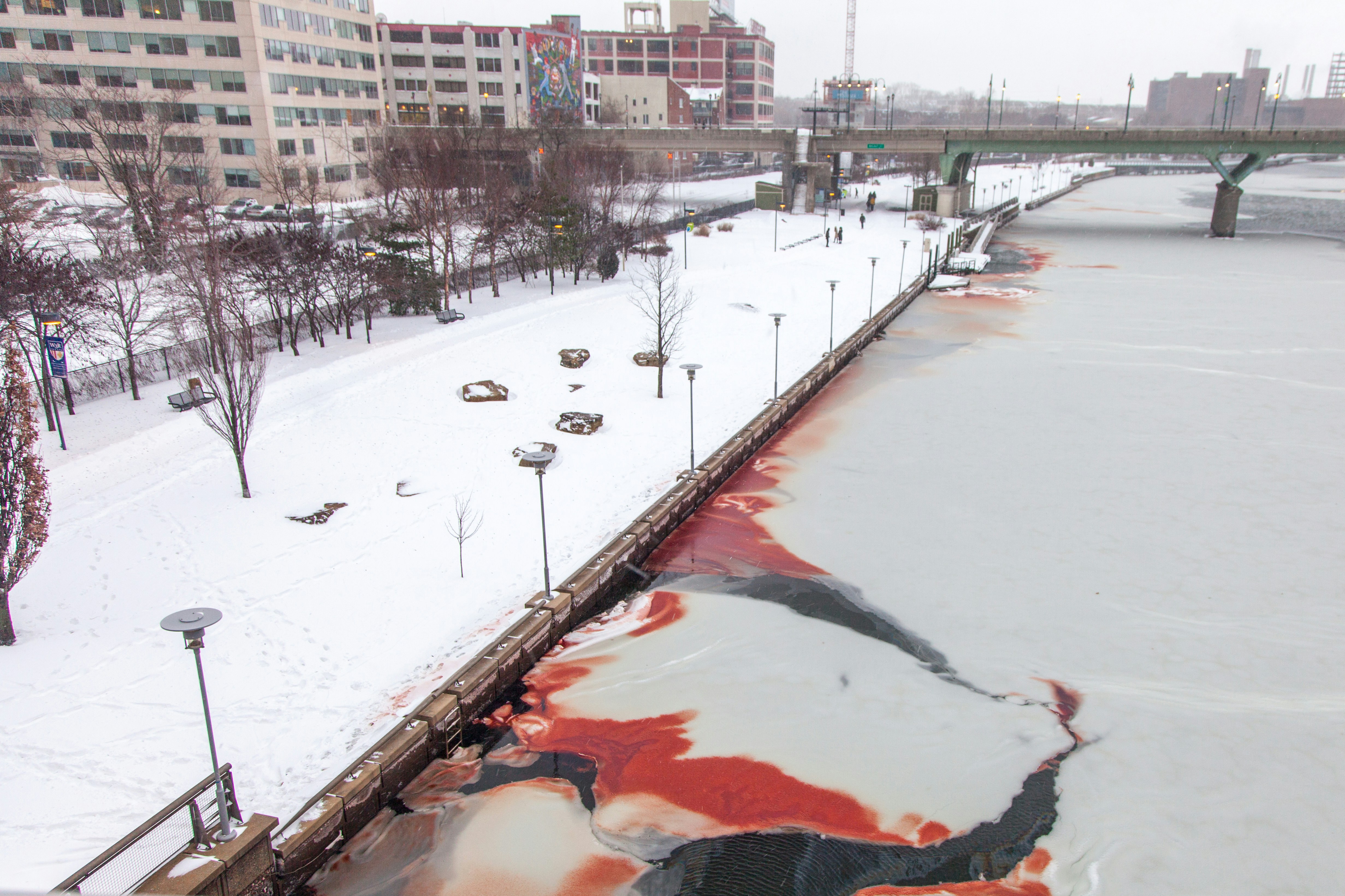 Crimson Veins Along a Snowbound Riverside