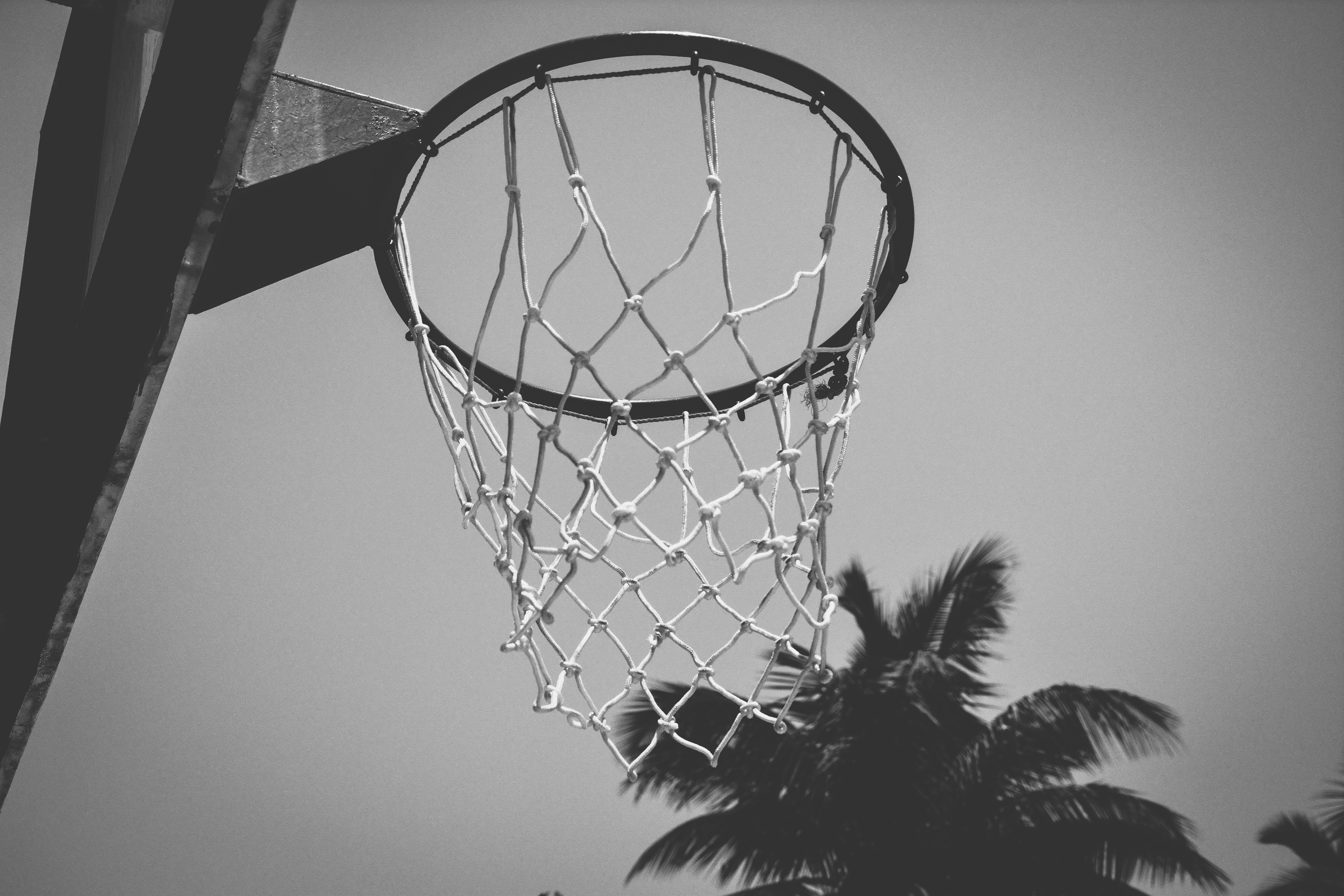 Grayscale photo of basketball hoop photo – Free Grey Image on Unsplash