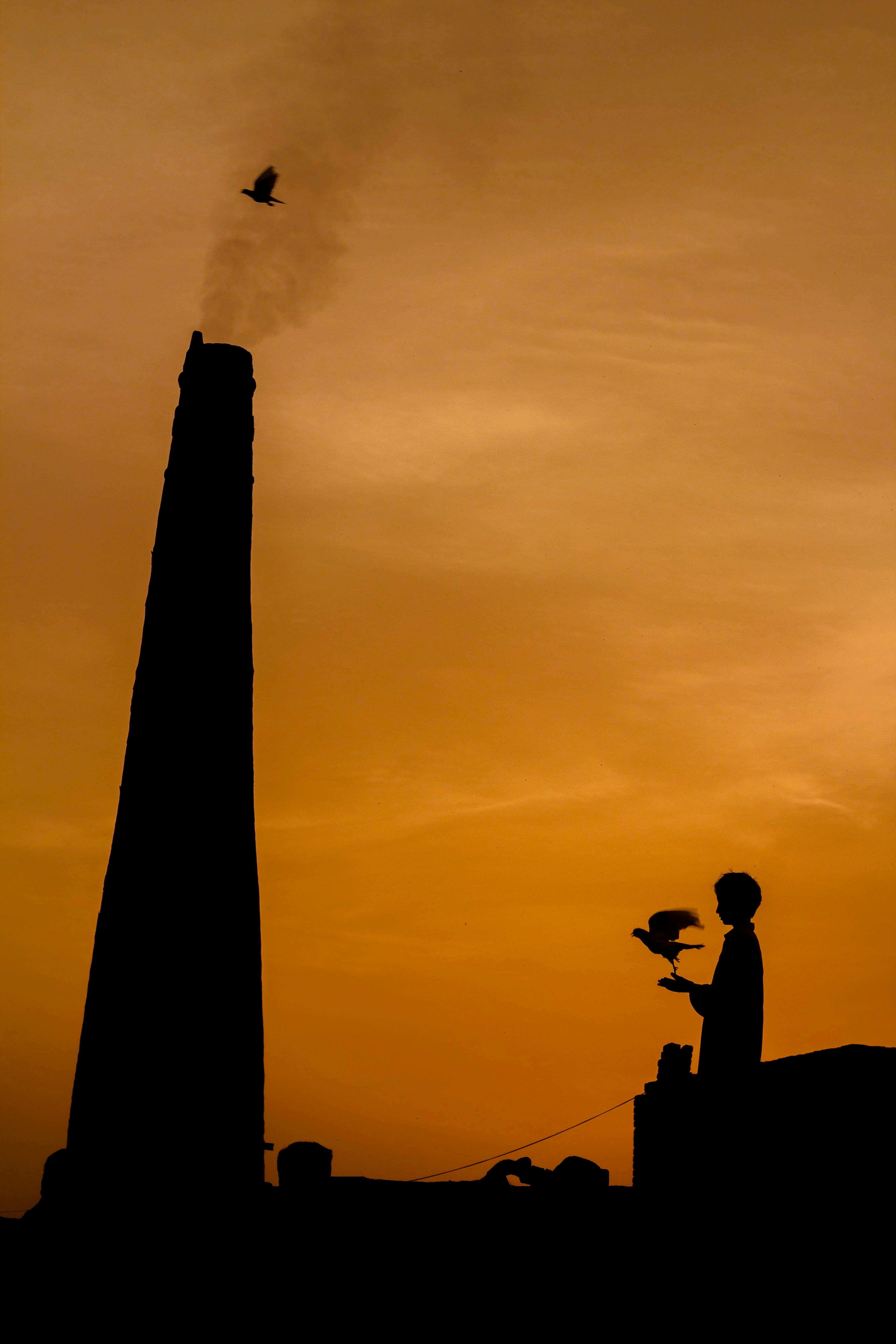 Silhouette of a young boy holding a bird against a vibrant orange sunset, with a chimney emitting smoke in the background.