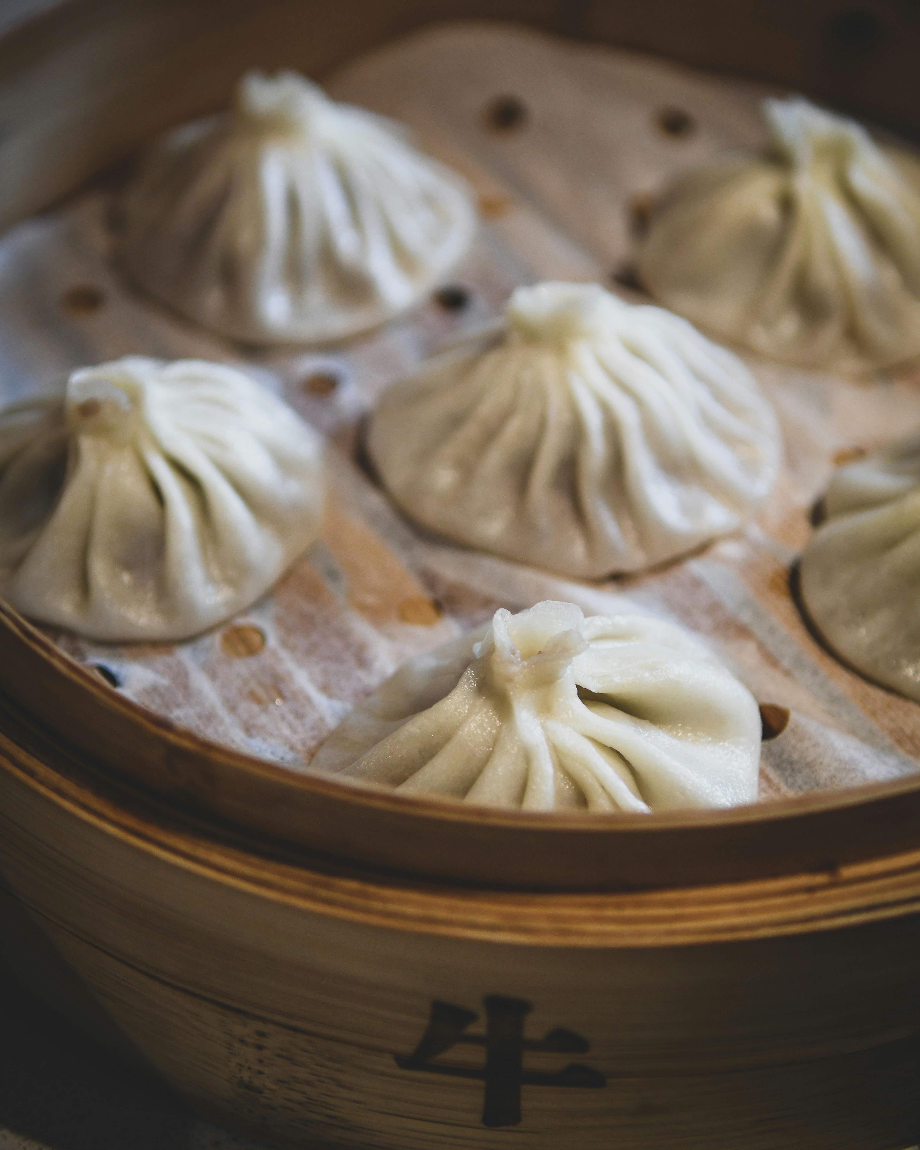 Dumpling Pictures [HD] | Download Free Images on Unsplash
