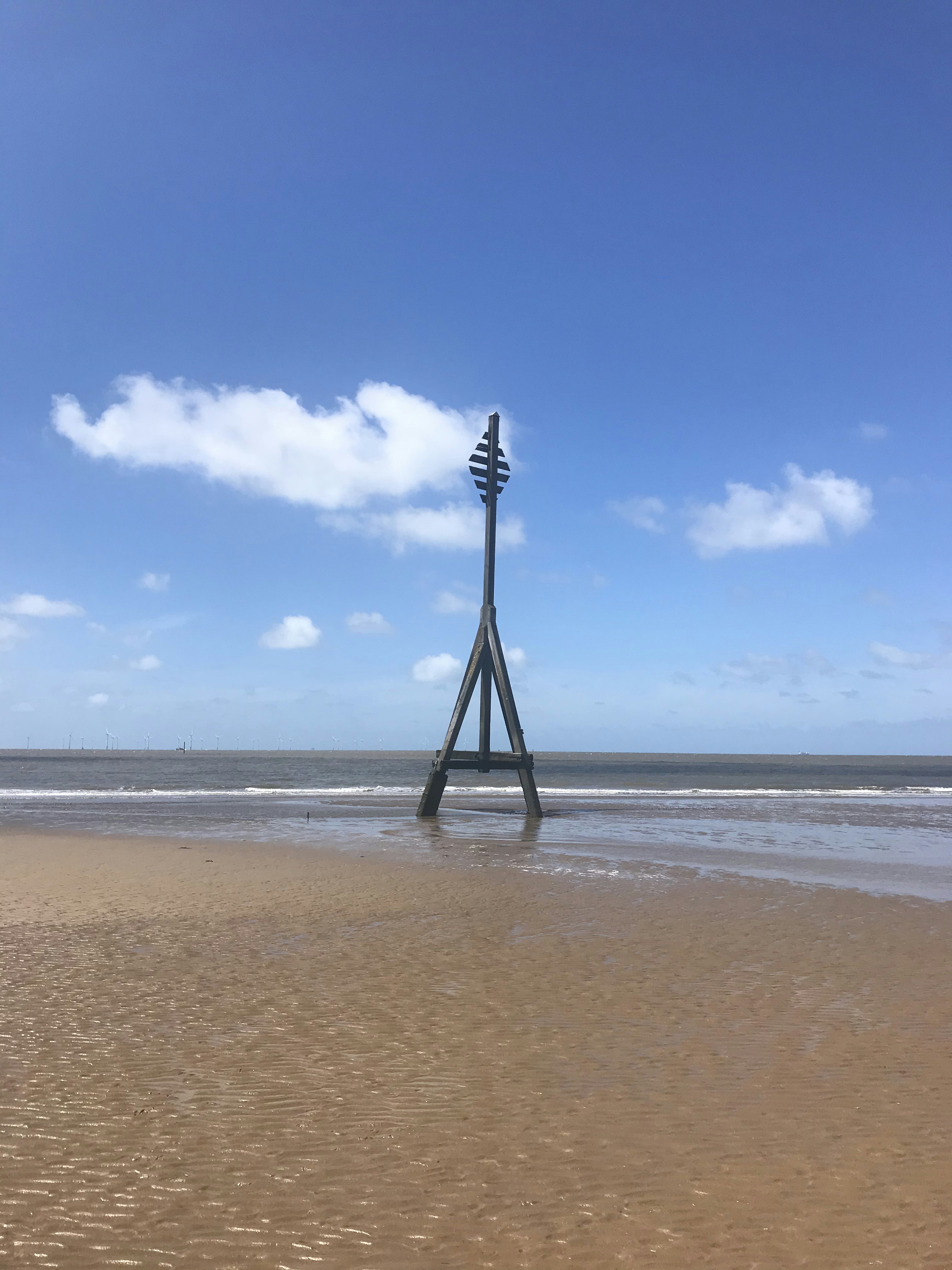 person standing on beach during daytime