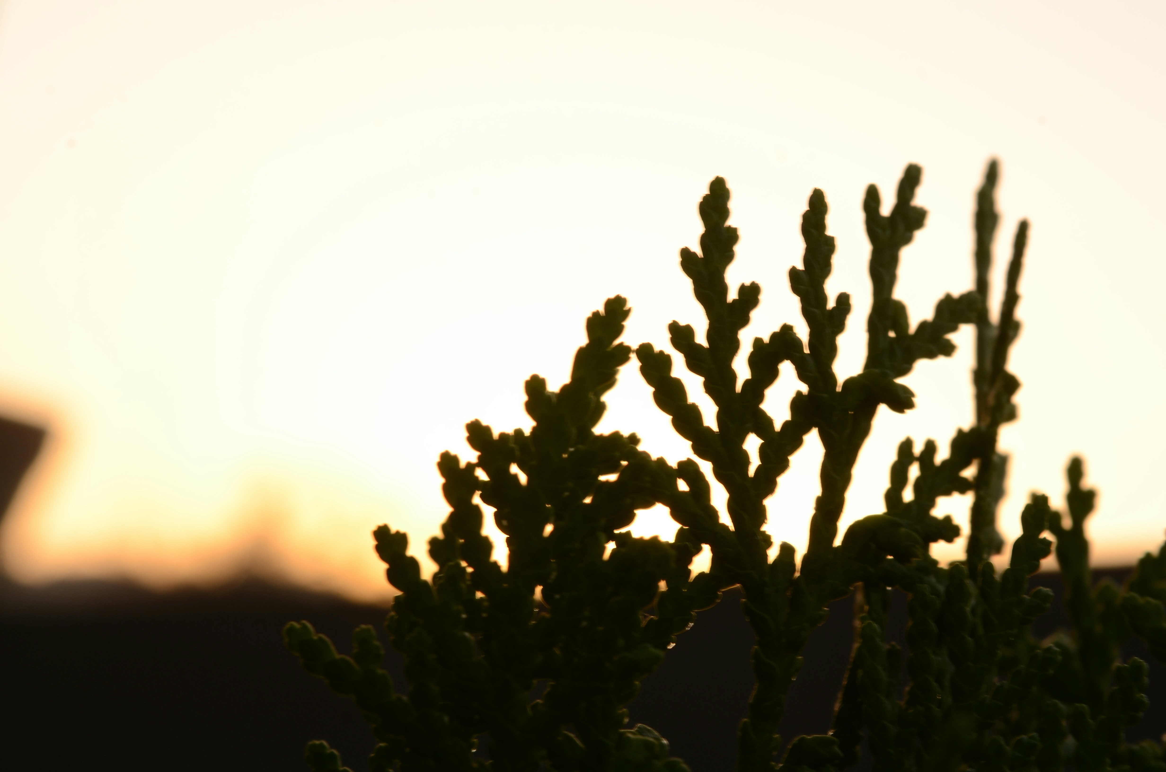 Farhan Niazi (@farhanniazi100) | Unsplash Photo Community