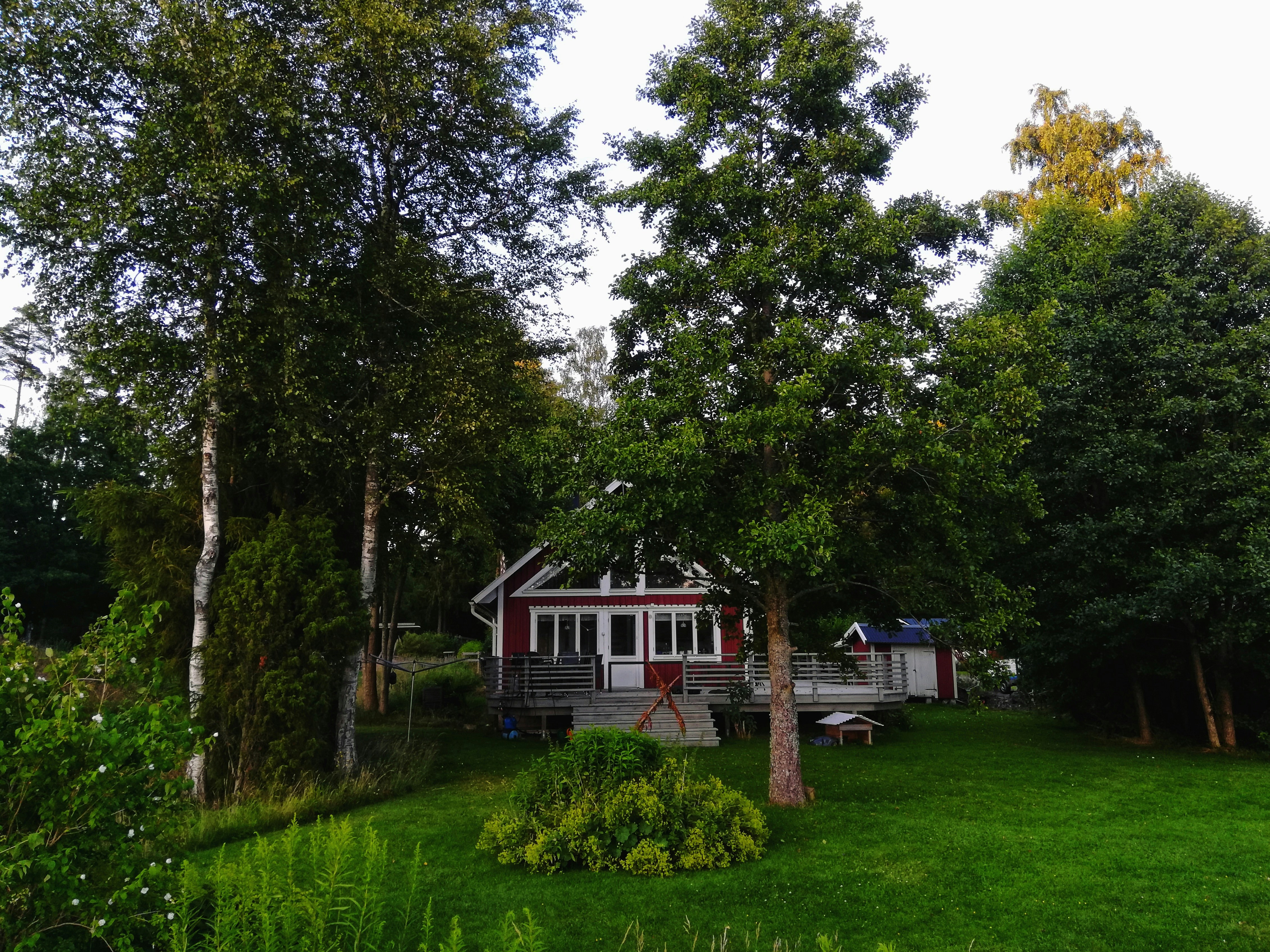 Charming red and white house nestled among lush greenery and towering trees in a serene garden setting.