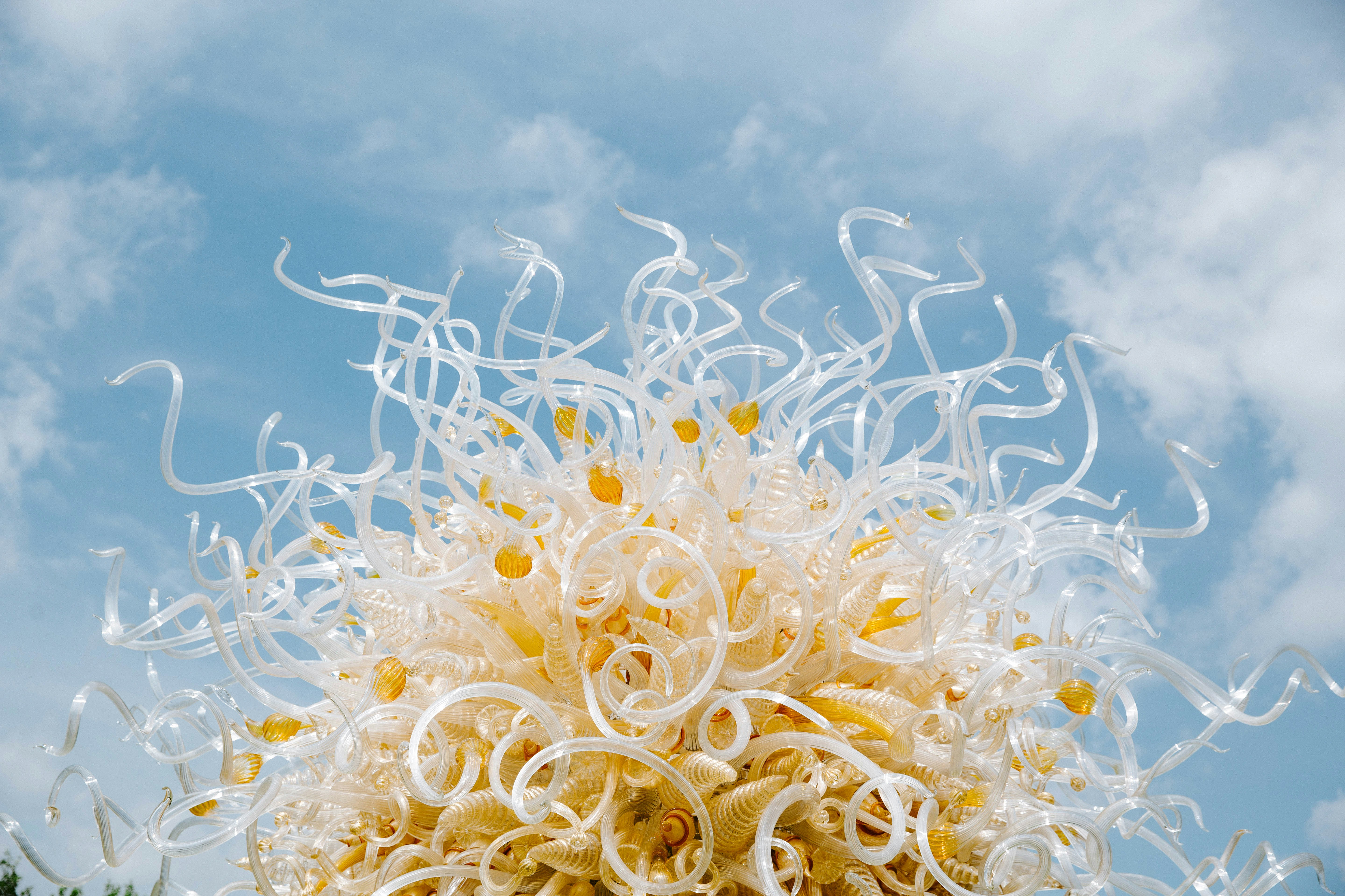 White and yellow sea creature under blue sky photo – Free Chihuly Image ...