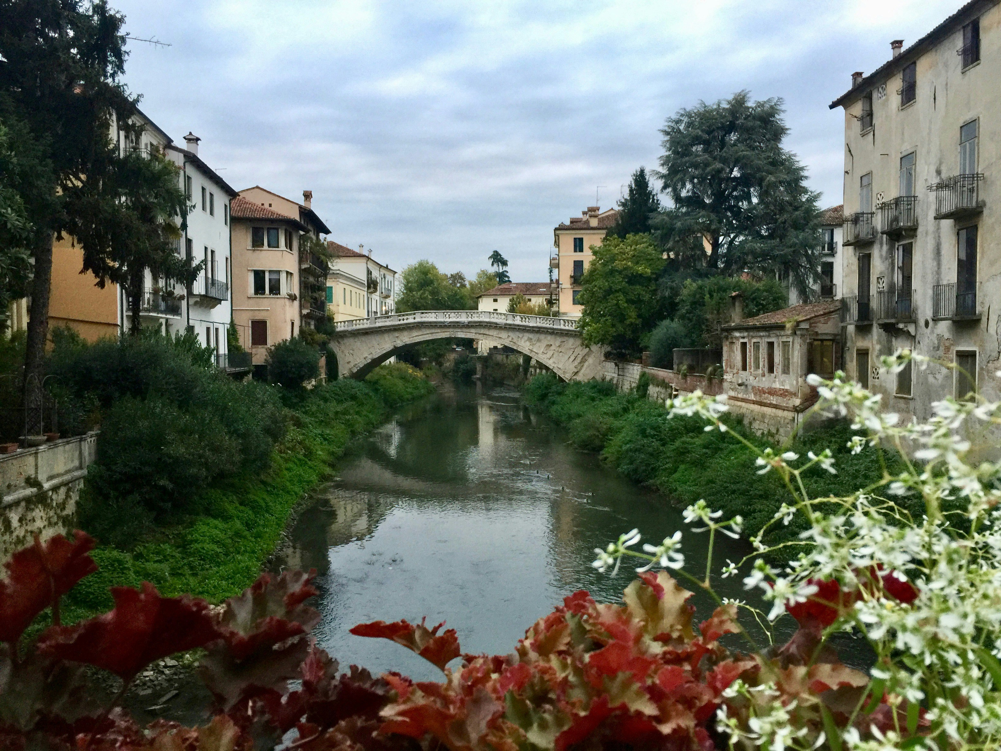 Red flowers near river during daytime photo – Free Bridges Image on ...