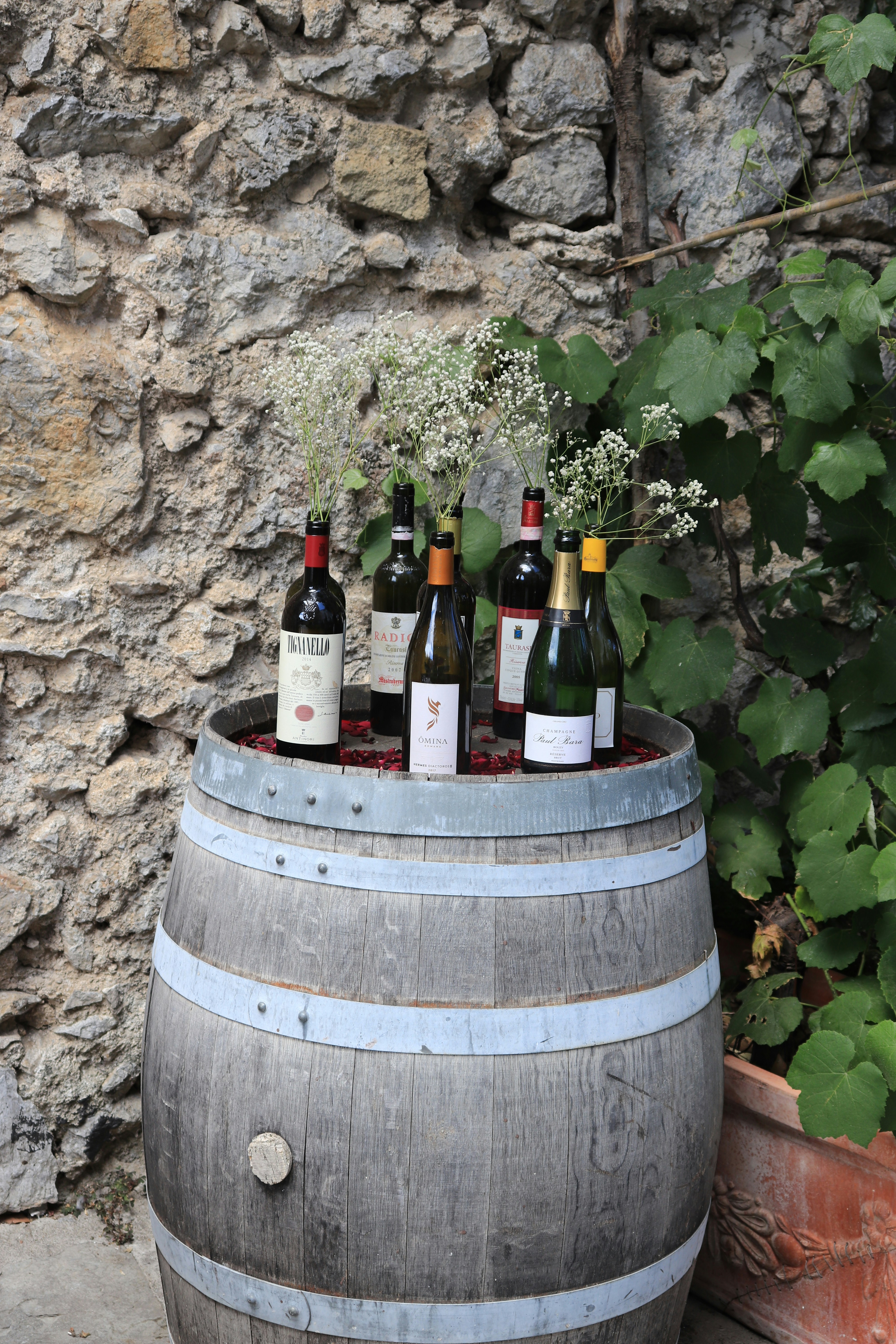 Vigneron Photos | Télécharger des images gratuites sur Unsplash