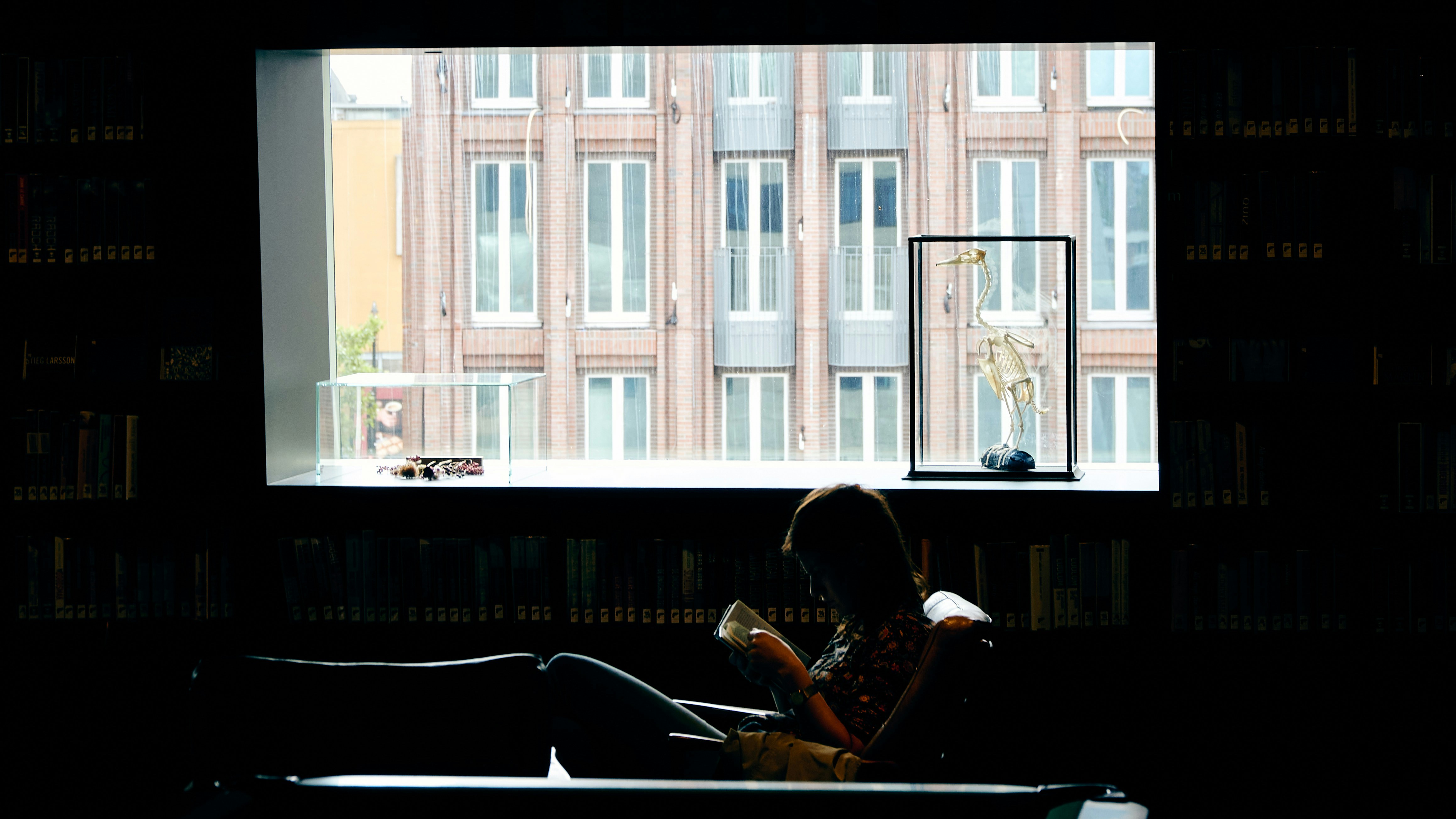 Quiet Focus in a Shadowed Library, Framed by a Window of Light