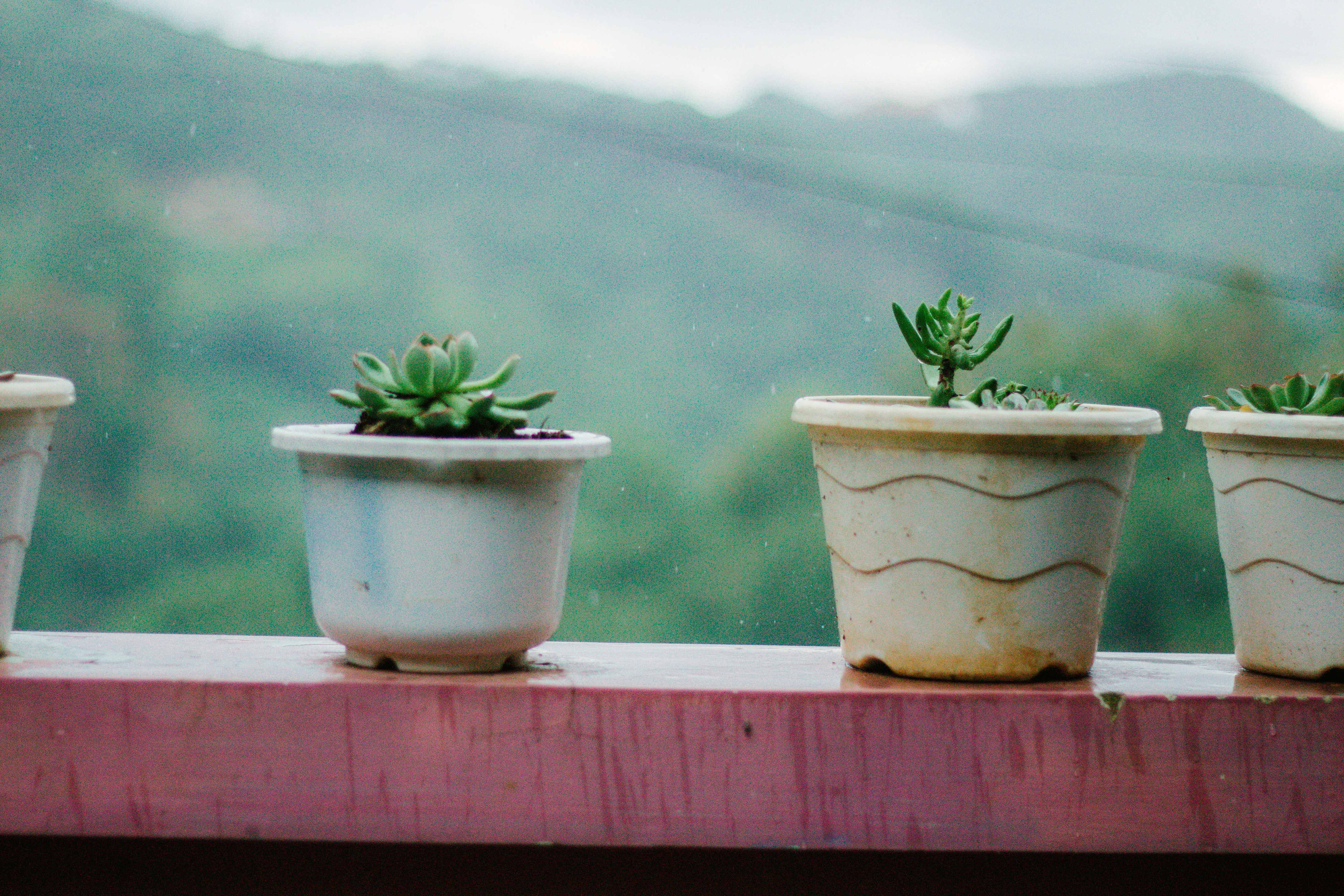 Serenity on the Balcony